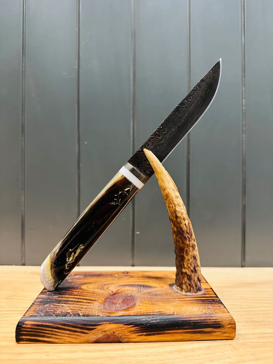 Predator Knife