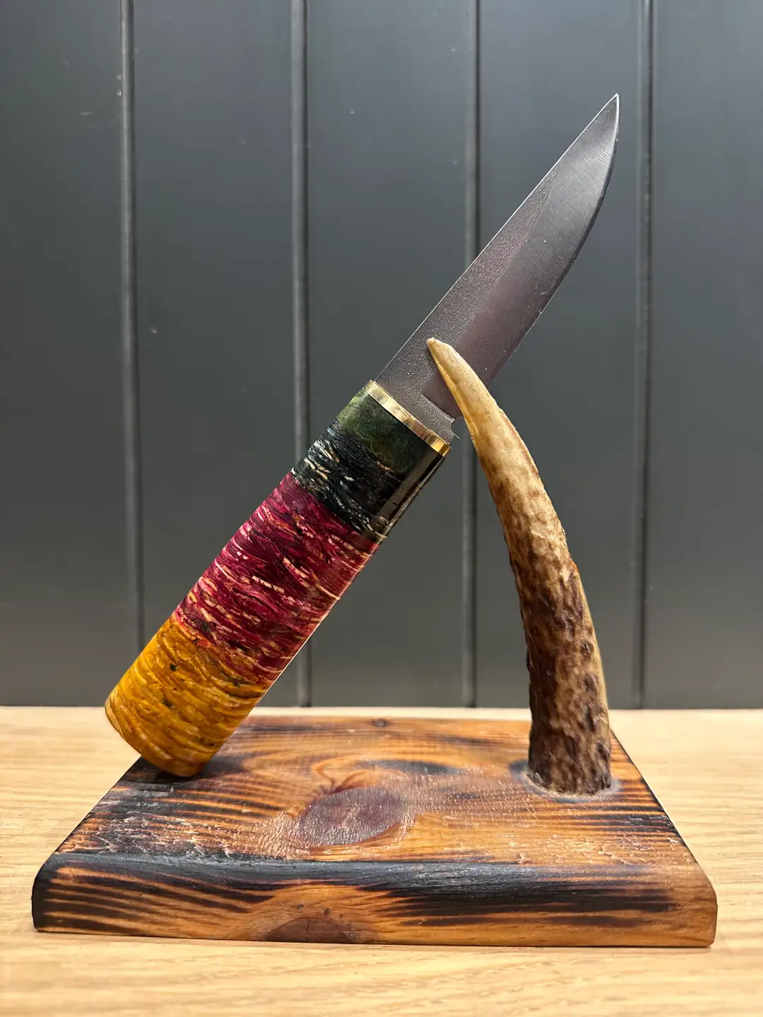 Predator’s Spine