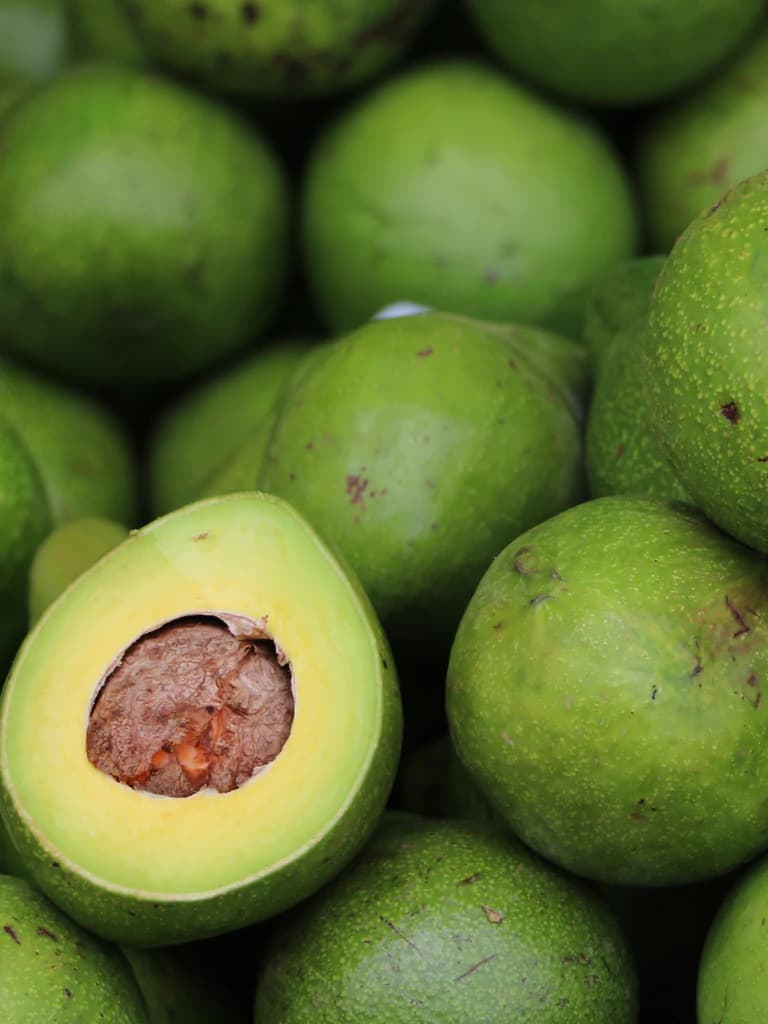 Avokado 24-27 Adet (7.00 Kg)