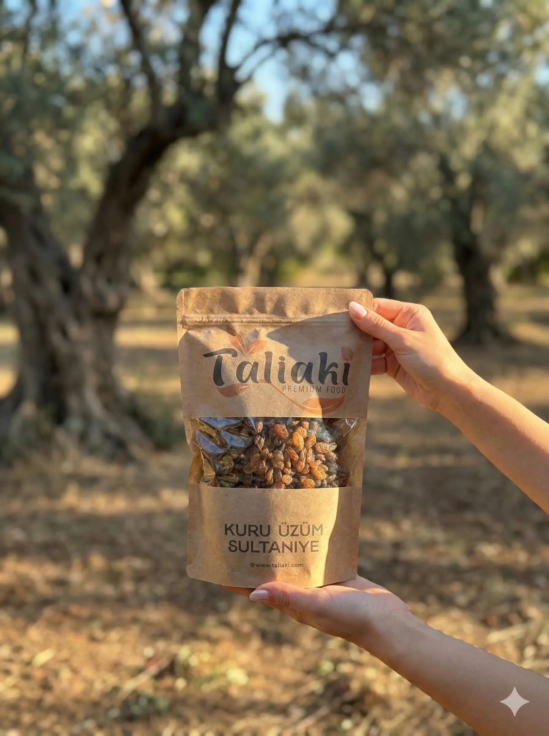 Sultaniye Kuru Üzüm Çekirdeksiz 700 gr Kilitli