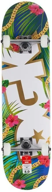 Dgk 8,0 Vacation Complete Kaykay