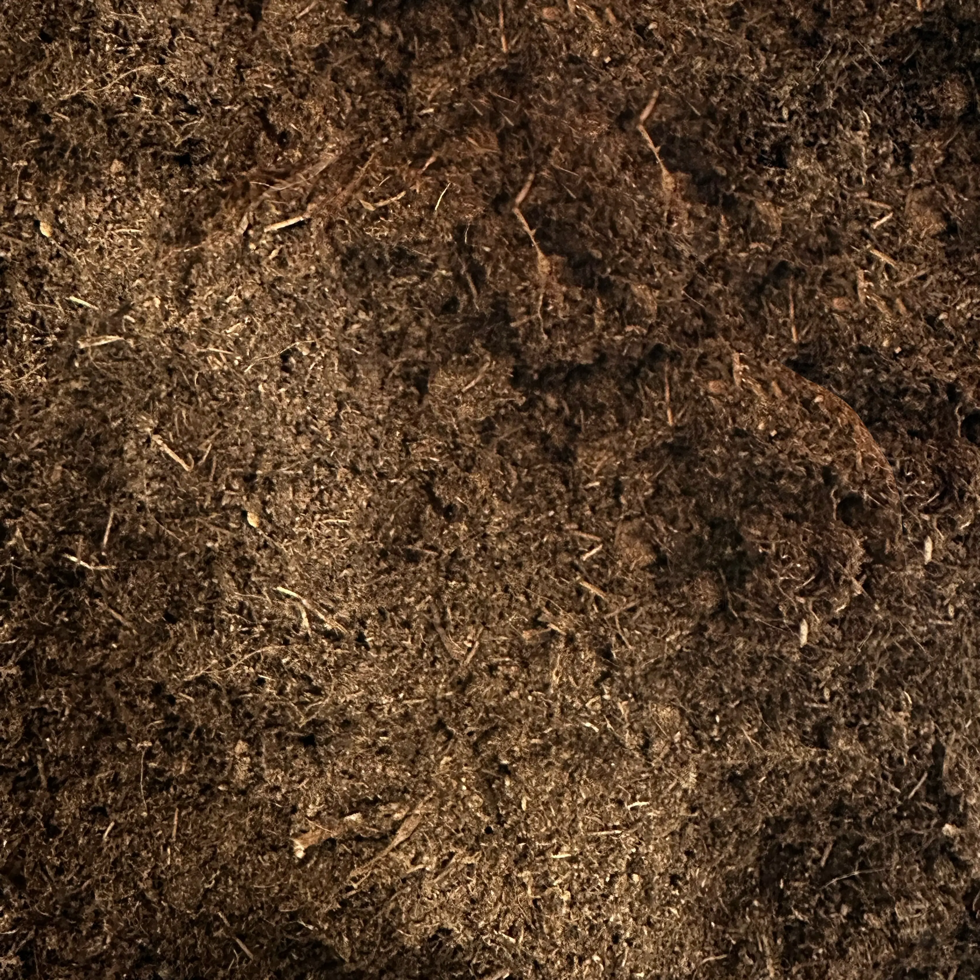 Sphagnum Ham Torf (0–5 mm) | Tohum ve Fide İçin İnce Torf 10 Litre