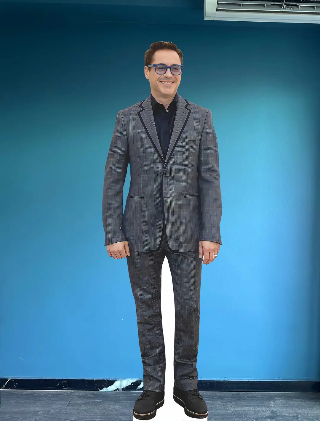 🧲 Robert Downey Cardboard Cutout– Bring the Charisma of Iron Man to ...