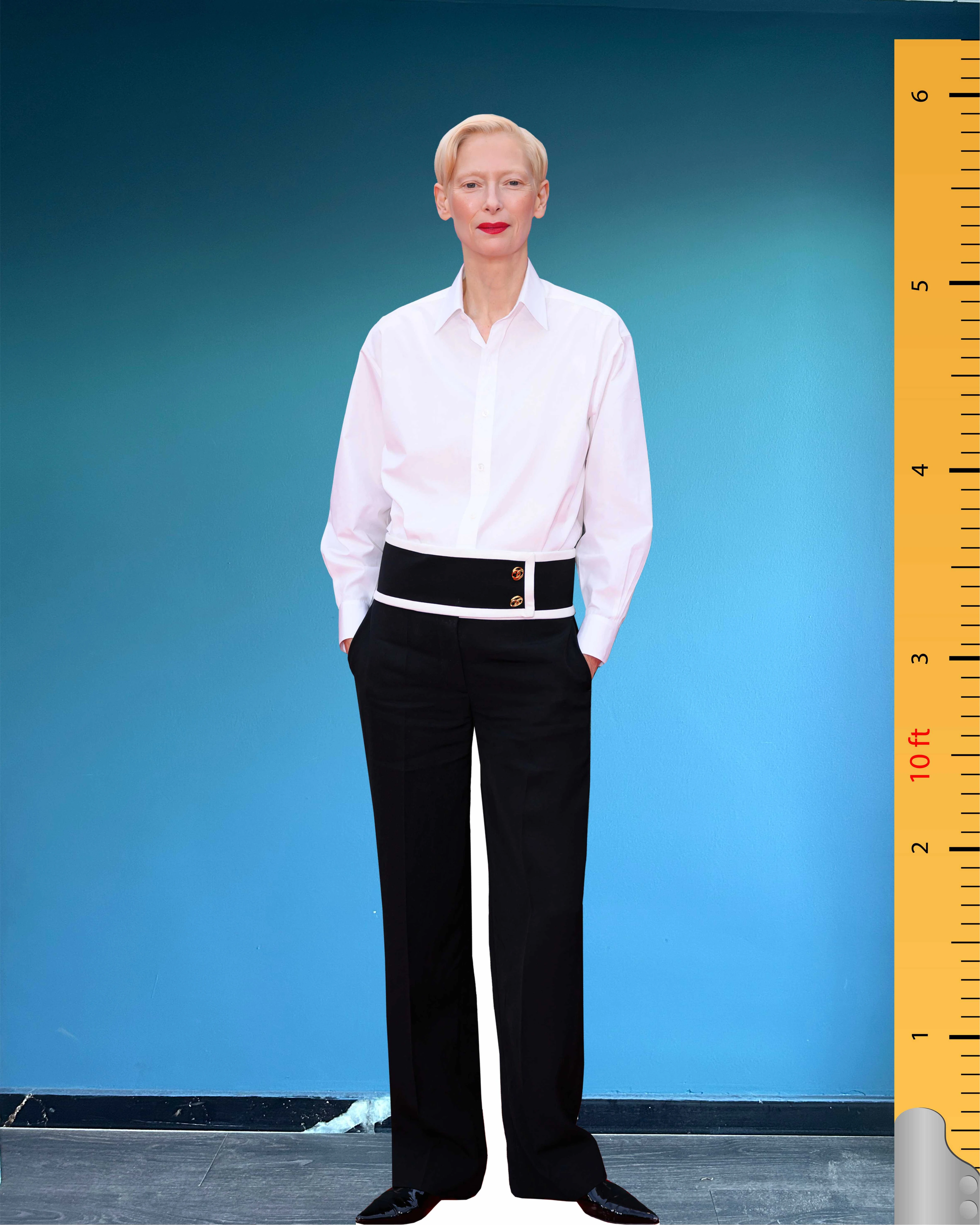 🎬 Recorte de papelão em tamanho real de Tilda Swinton – Edição do 69º ...