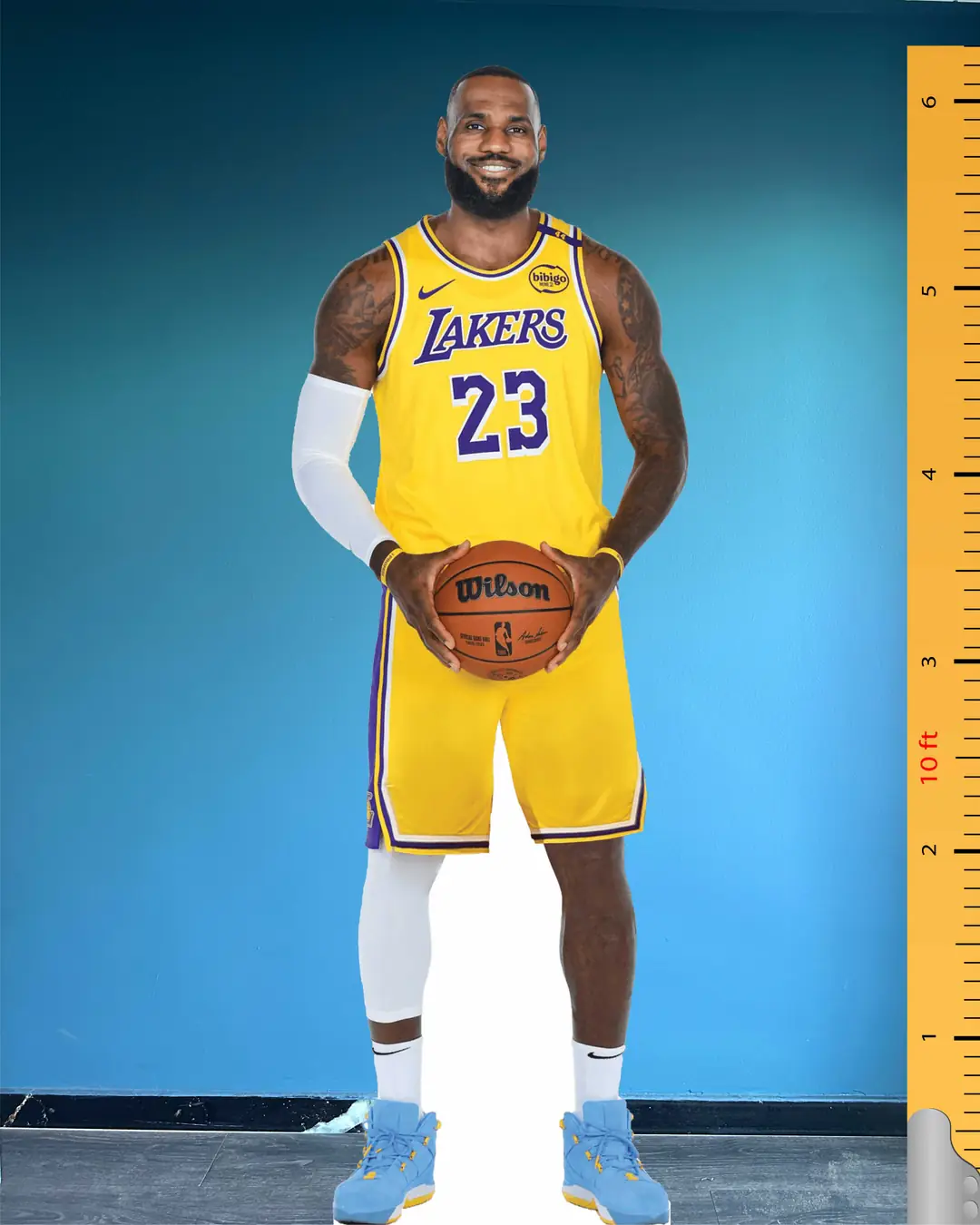 Levensgrote kartonnen standaard van LeBron James – 🟣 LA Lakers / King ...