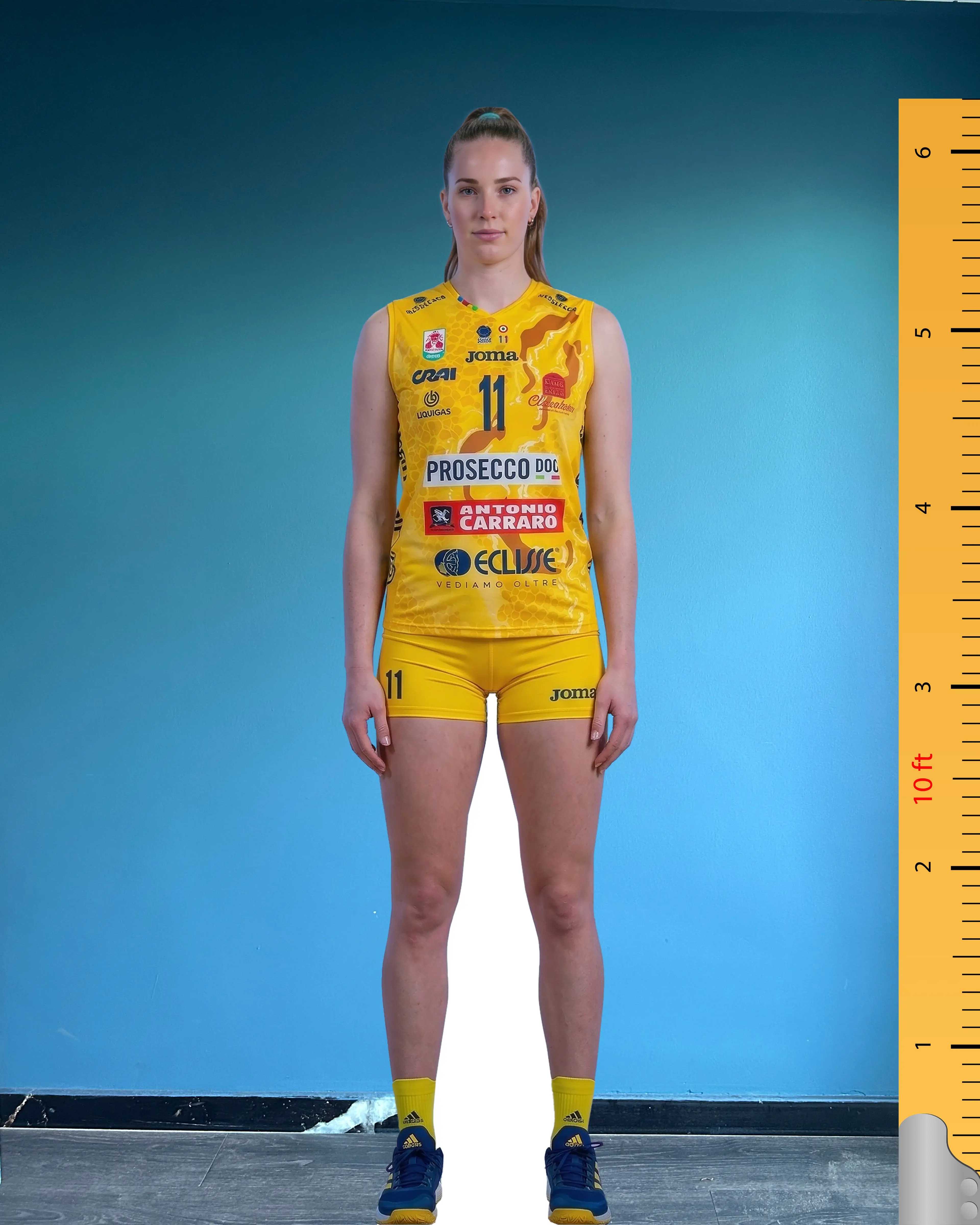 Isabelle Haak Life Size Cardboard Cutout Model - Imoco Volley ...