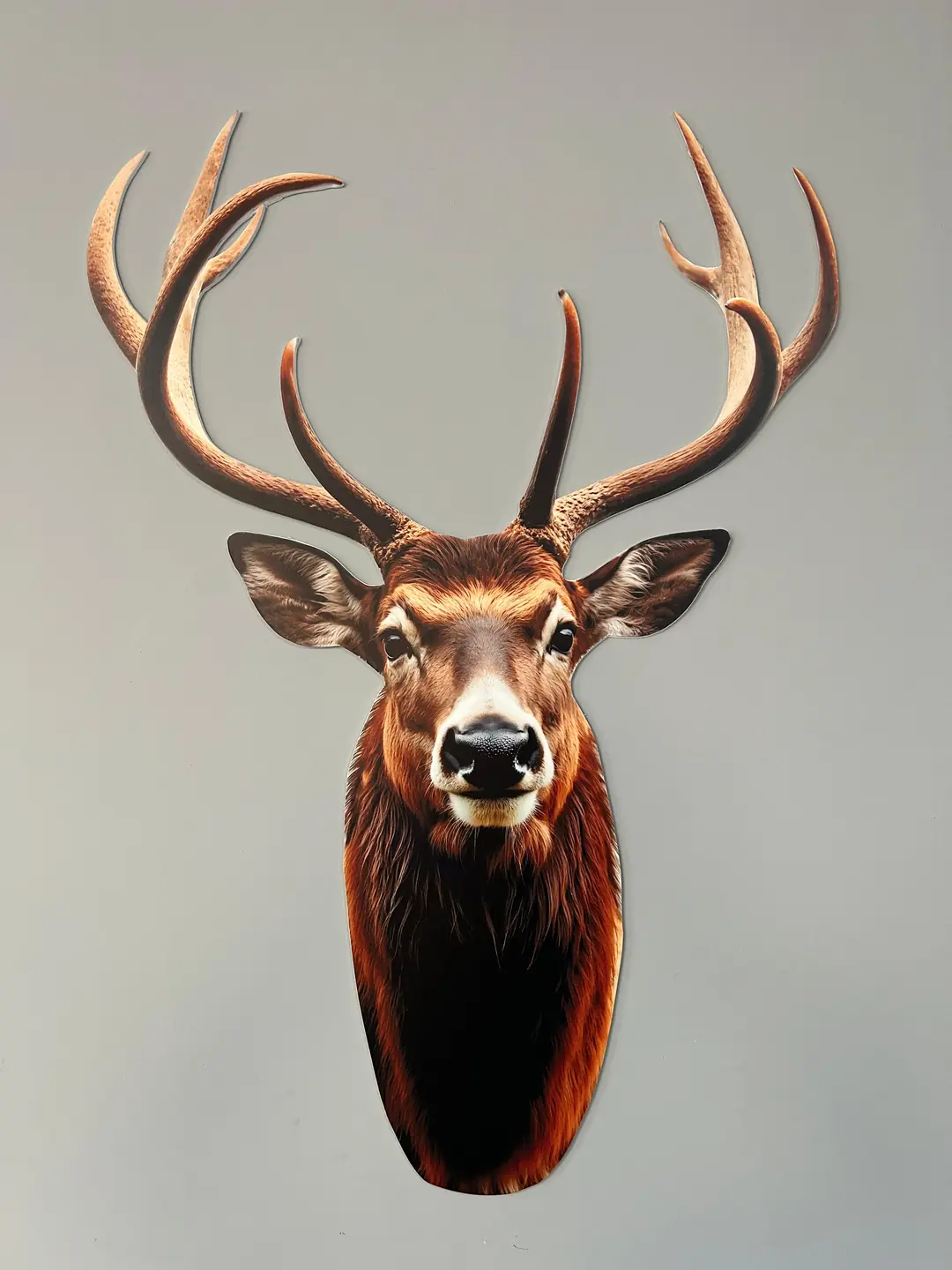 🦌 Deer Head Decorative Ornament – Special Cut Plastic Design