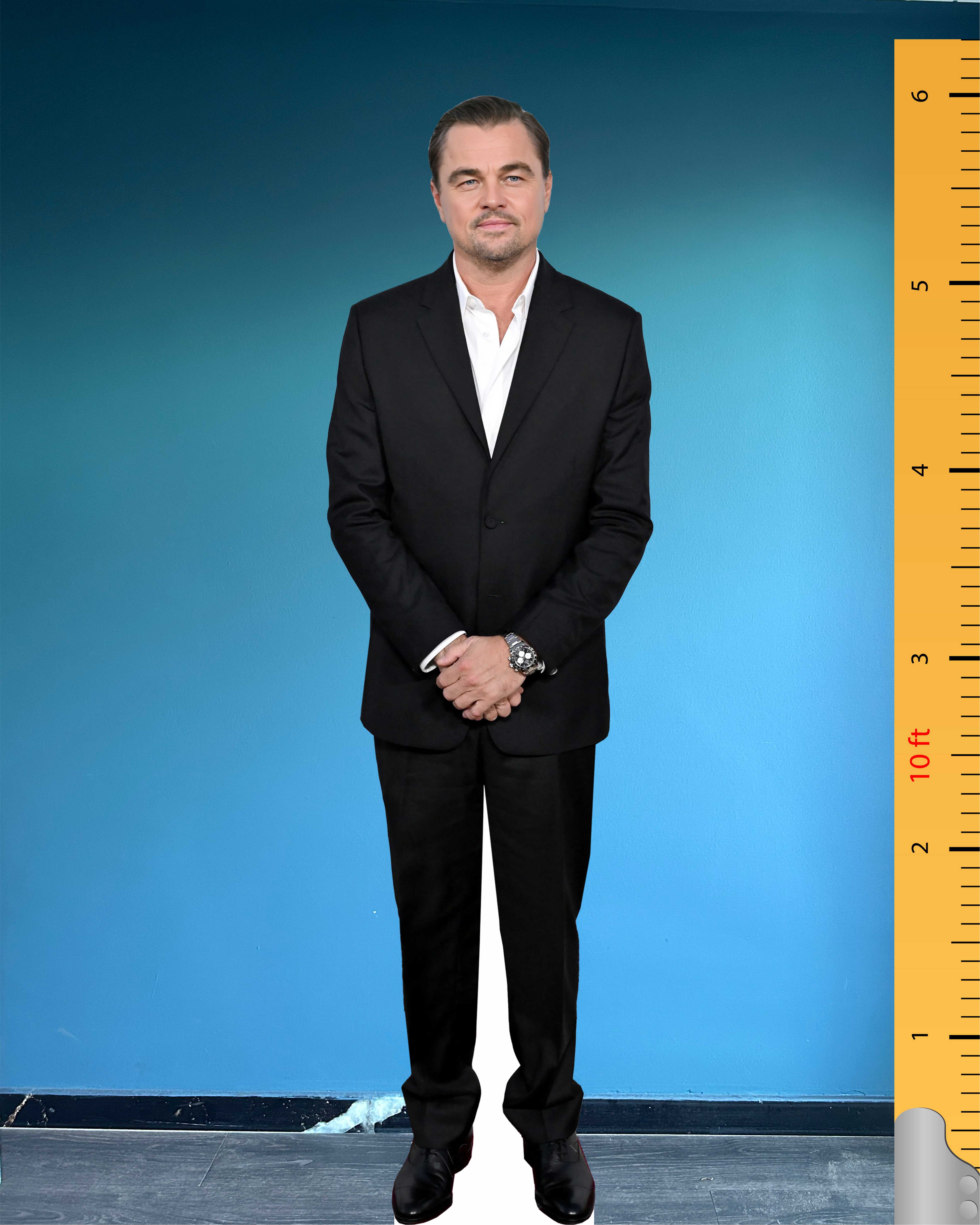 Leonardo DiCaprio Life Size Cardboard Cutout – One Battle After Another ...