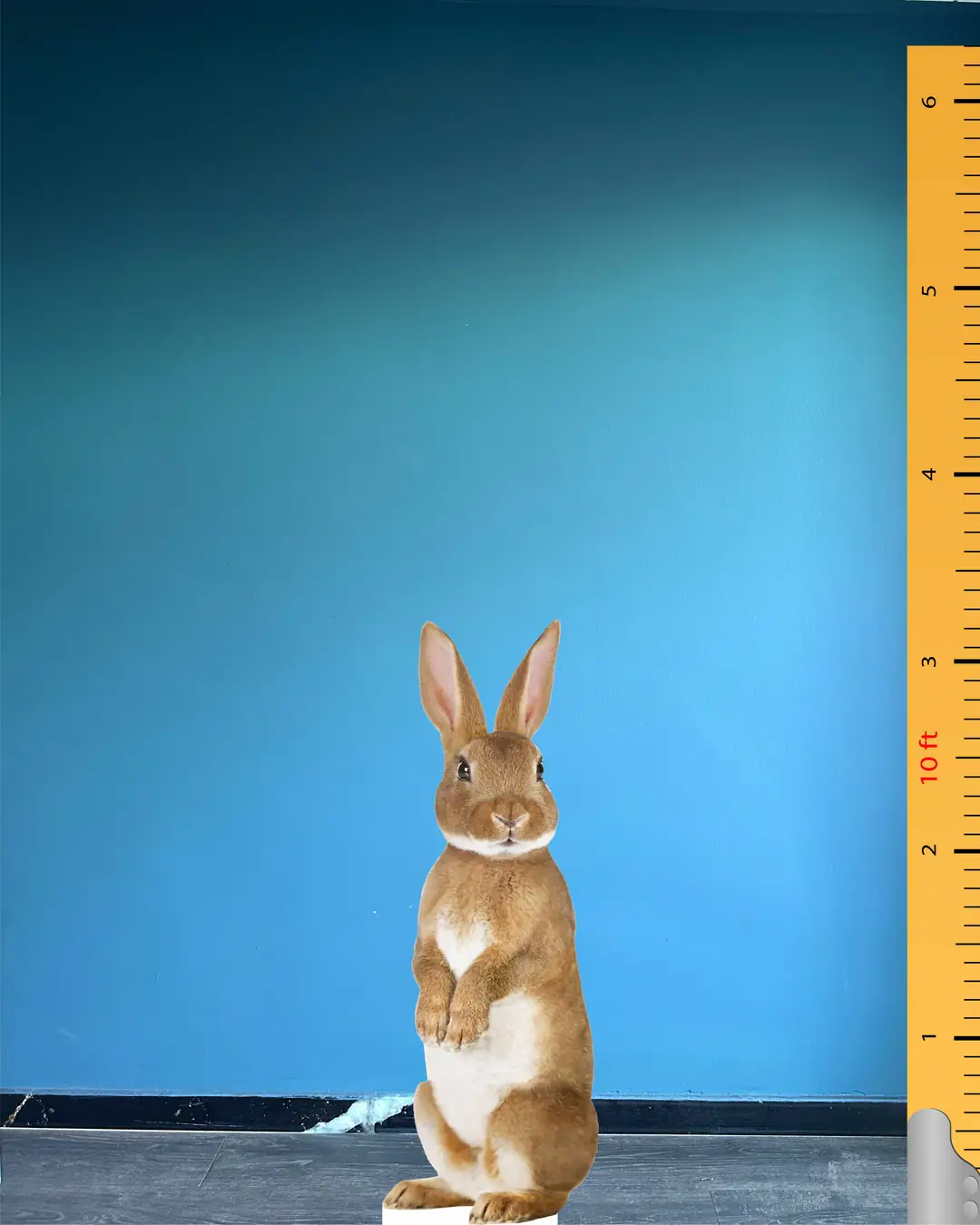 Rabbit Cardboard Cutout – Life-Size Cute Animal Standee for Events ...