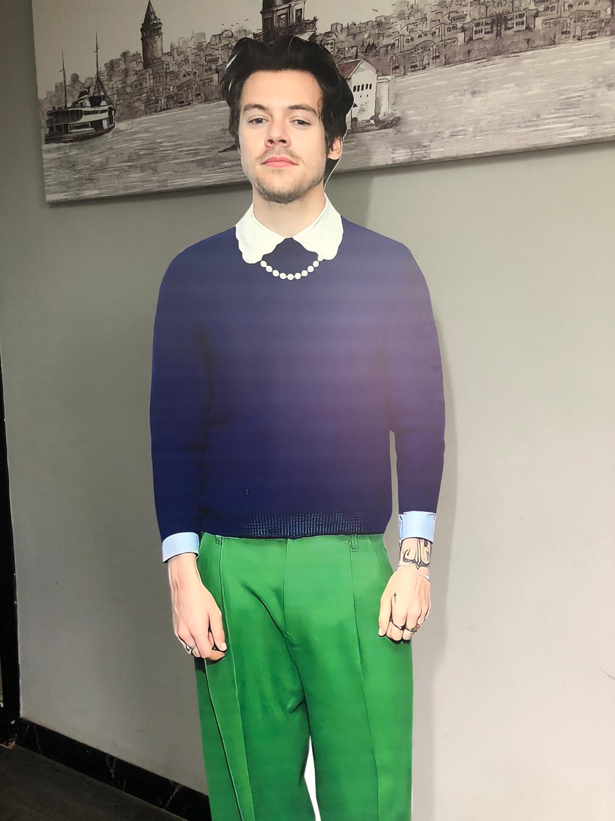Sagoma di Cartone HARRY STYLES – "The Grammy Champion" Life-Size 2023 ...