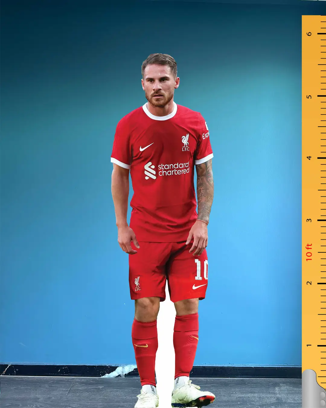 🔴 Alexis Mac Allister Cardboard Cutout | Life Size Figure Standee ...