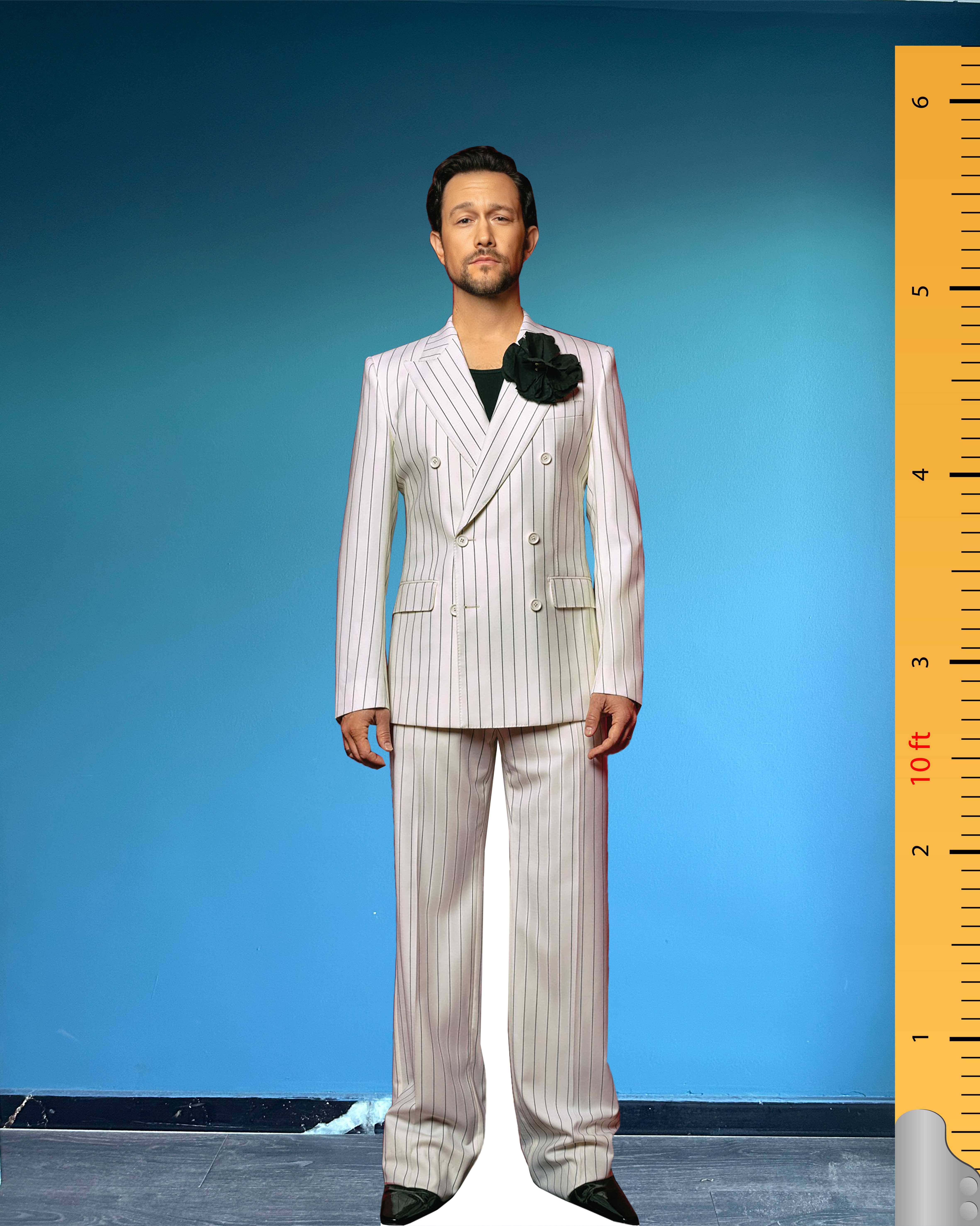 📸 Joseph Gordon-Levitt Kartonnen Standbeeld – Fashion Book Celebrity ...