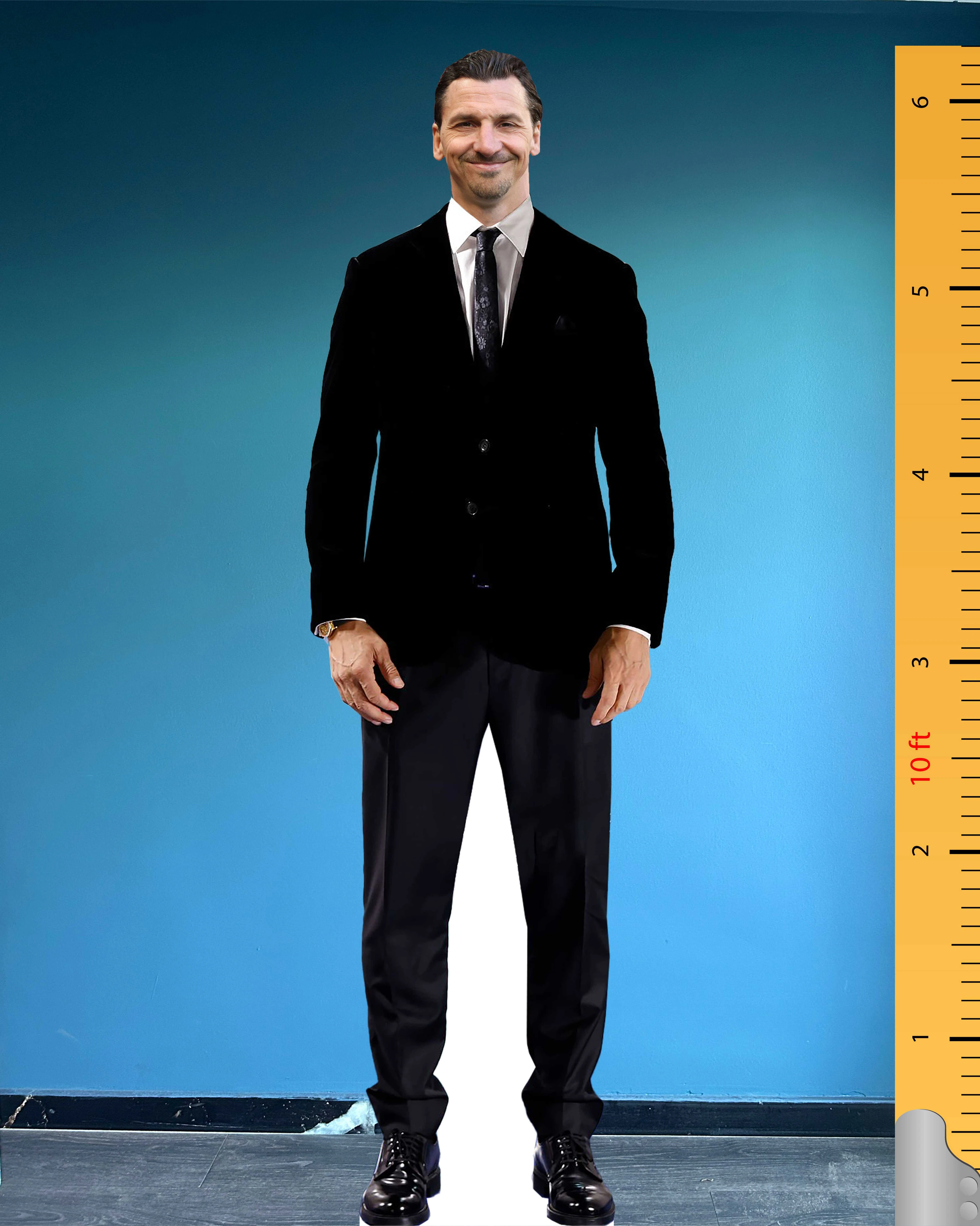 ⚽ Recorte de cartón de Zlatan Ibrahimović – UEFA Champions League ...