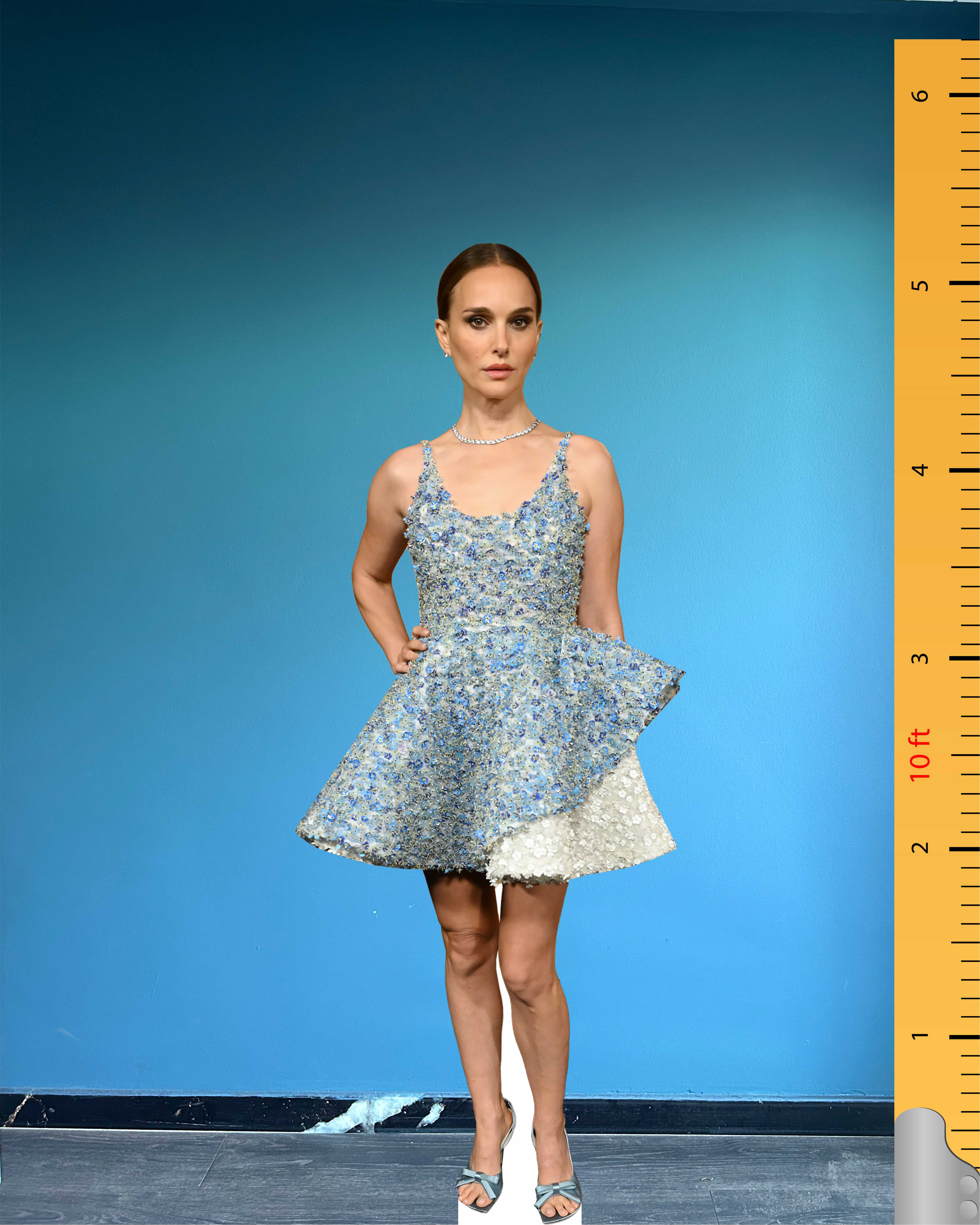 🌟 Natalie Portman Life Size Cardboard Cutout – 16th Governors Awards ...