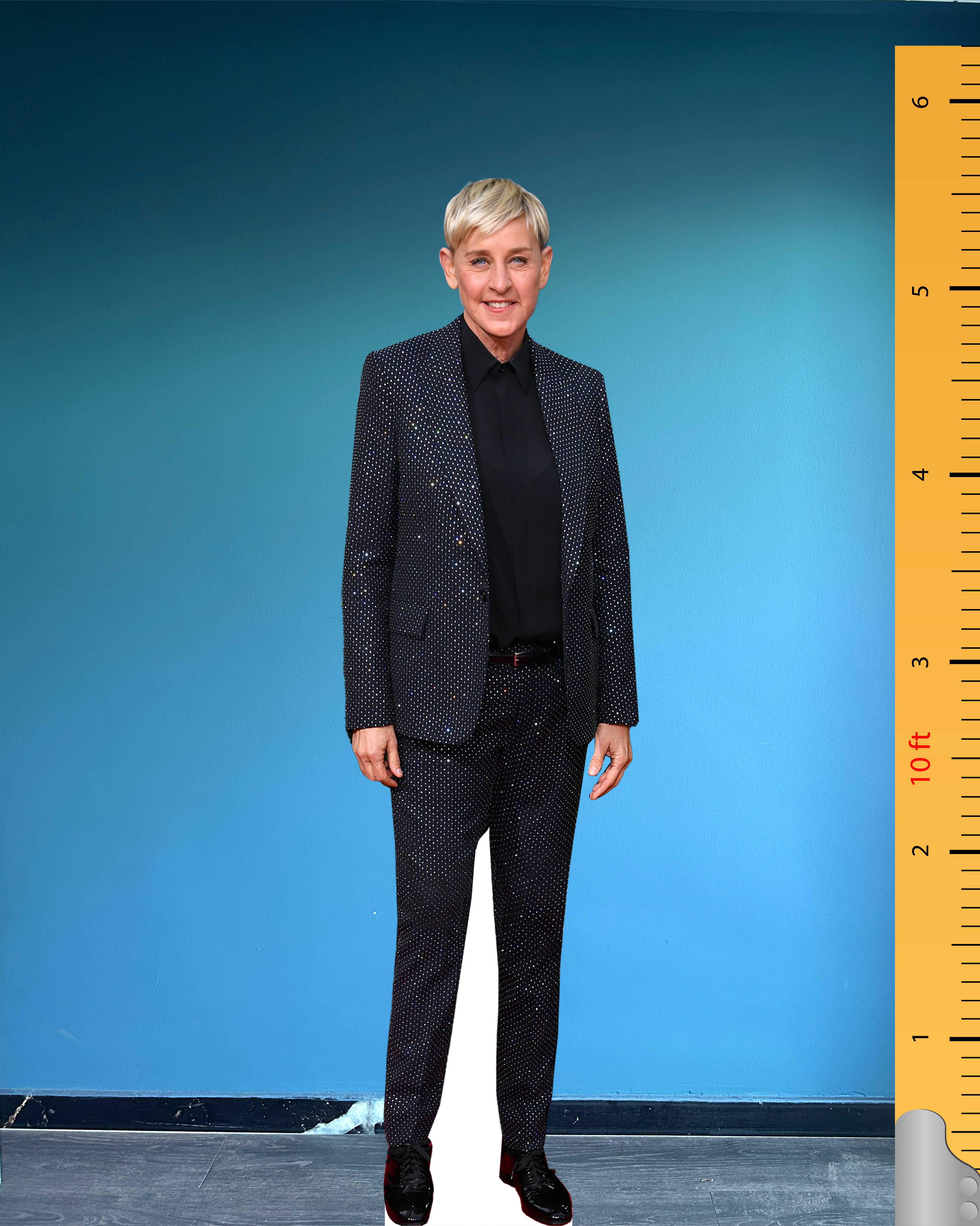 🎬 Kartonowa figura Ellen DeGeneres – Edycja 77th Annual Golden Globe ...