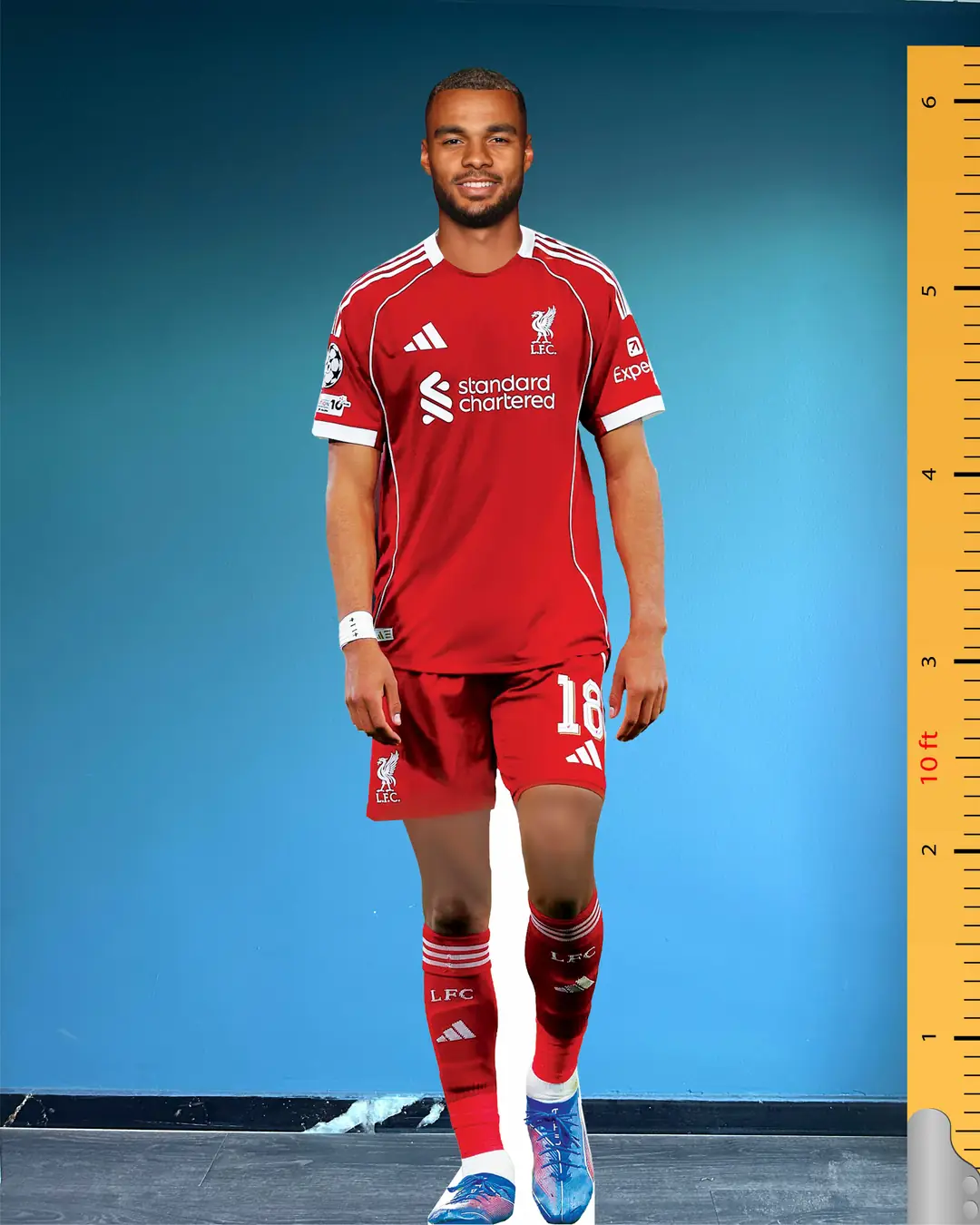 🔴 Cody Gakpo Cardboard Cutout - Liverpool FC Life Size Standee Model