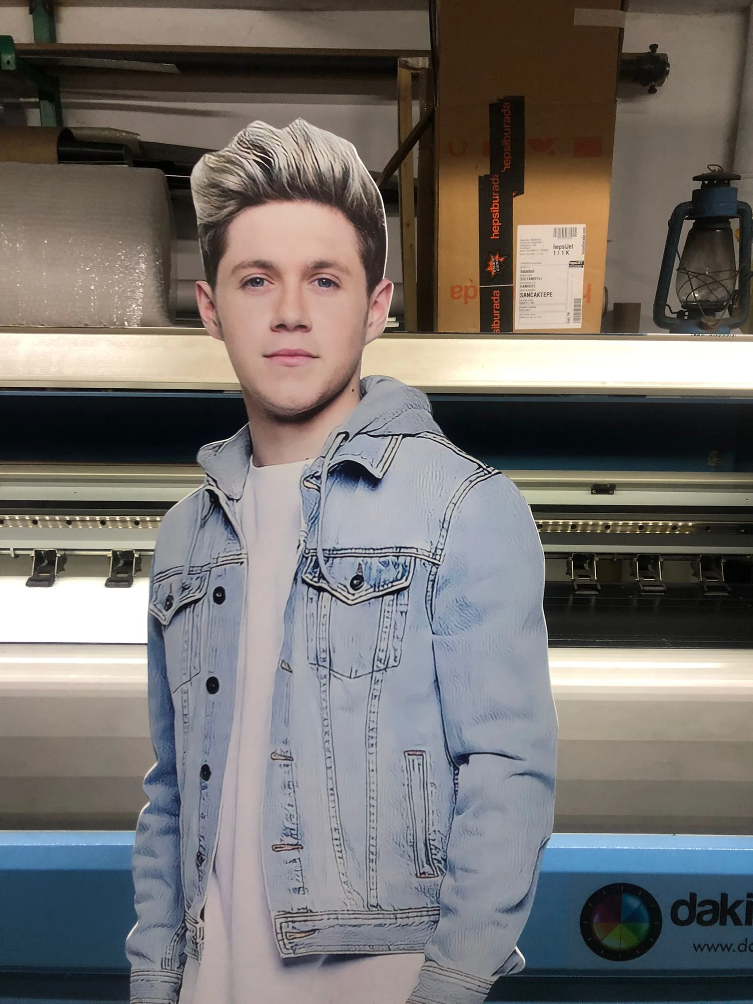 Niall Horan Cardboard Cutout Model Niall James Horan Mockup Standee Figur