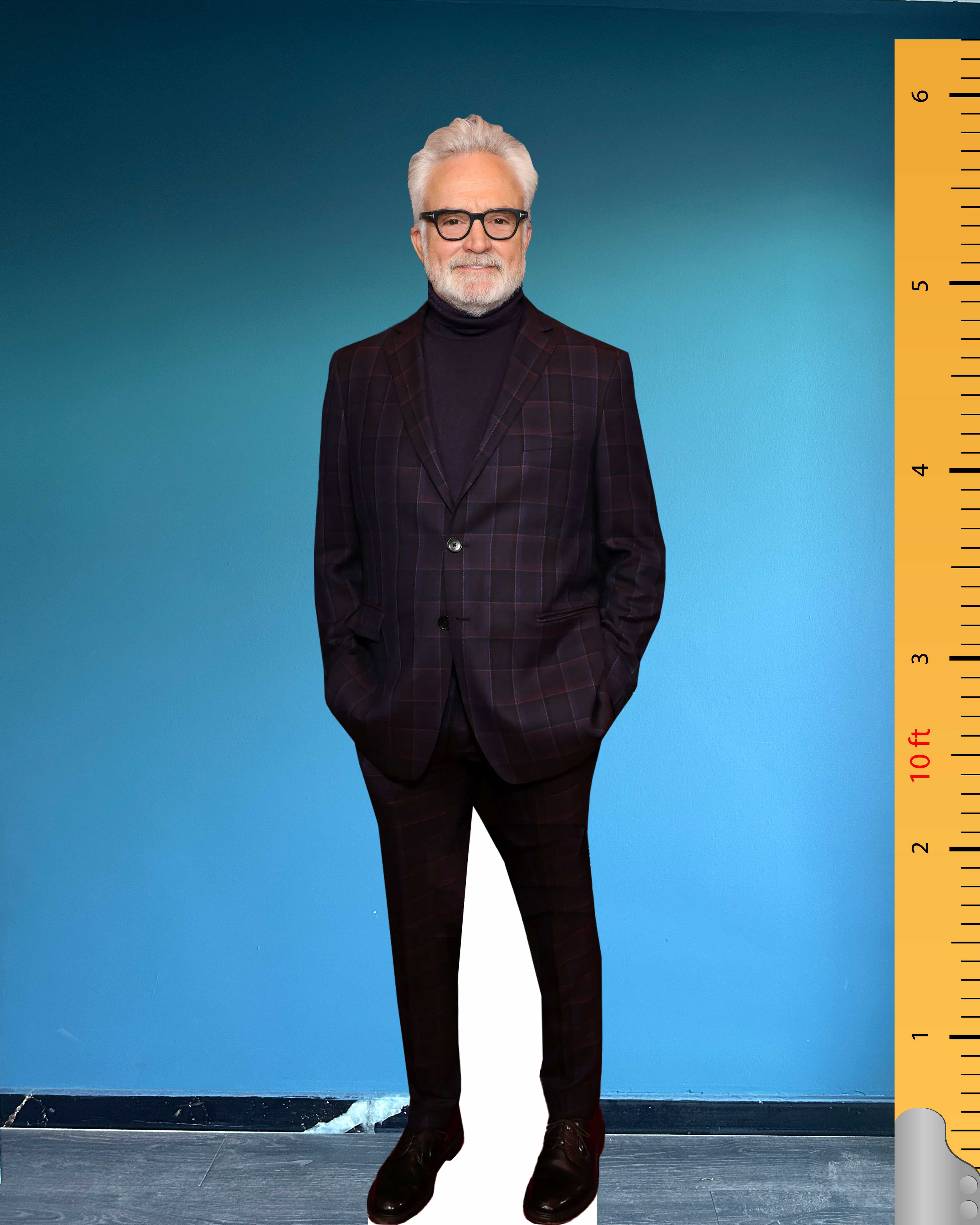 🎬 Bradley Whitford Cardboard Cutout – AFI Awards Spotlight American ...