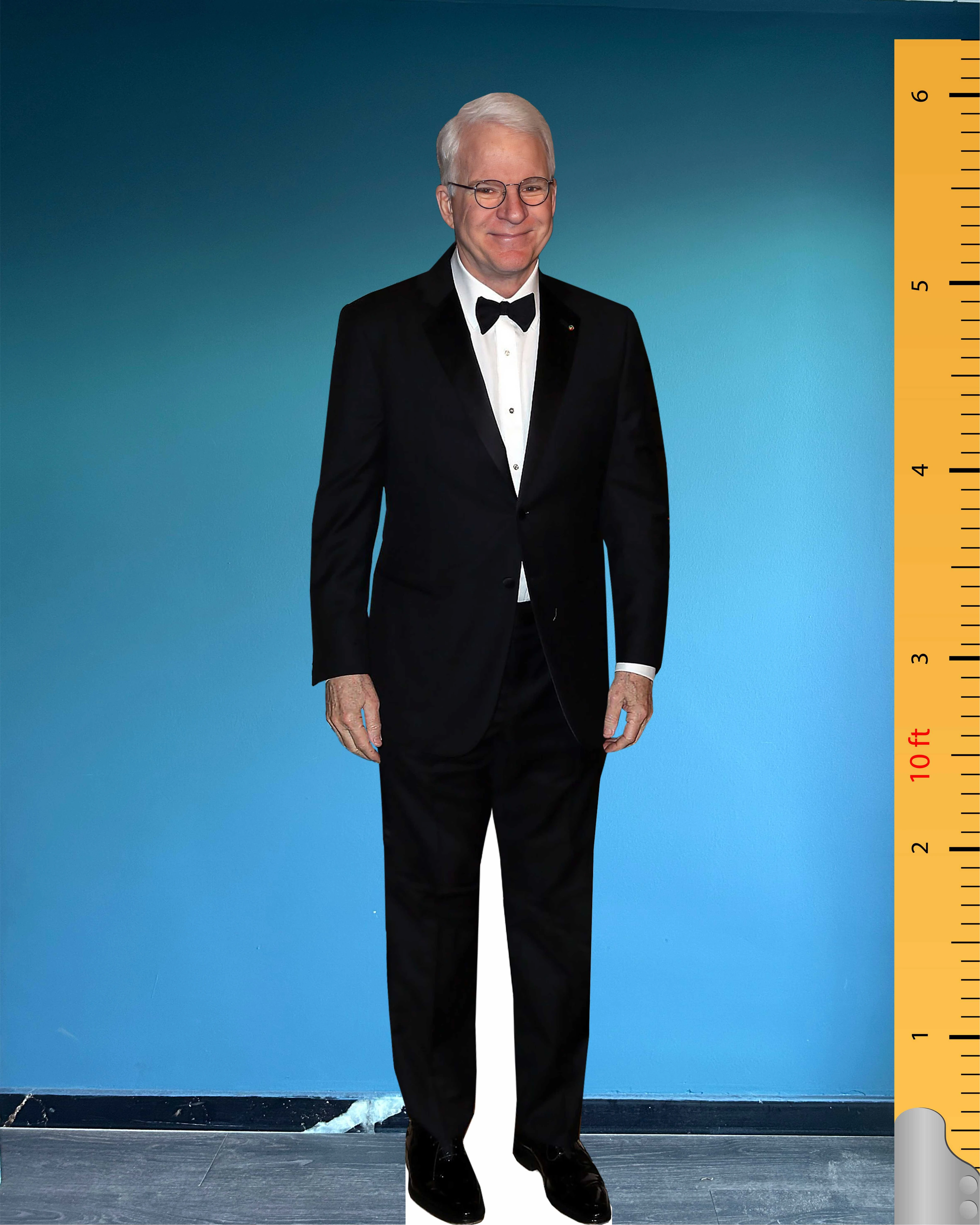 🎬 Kartonowa postać w naturalnym rozmiarze Steve Martin – Vanity Fair ...