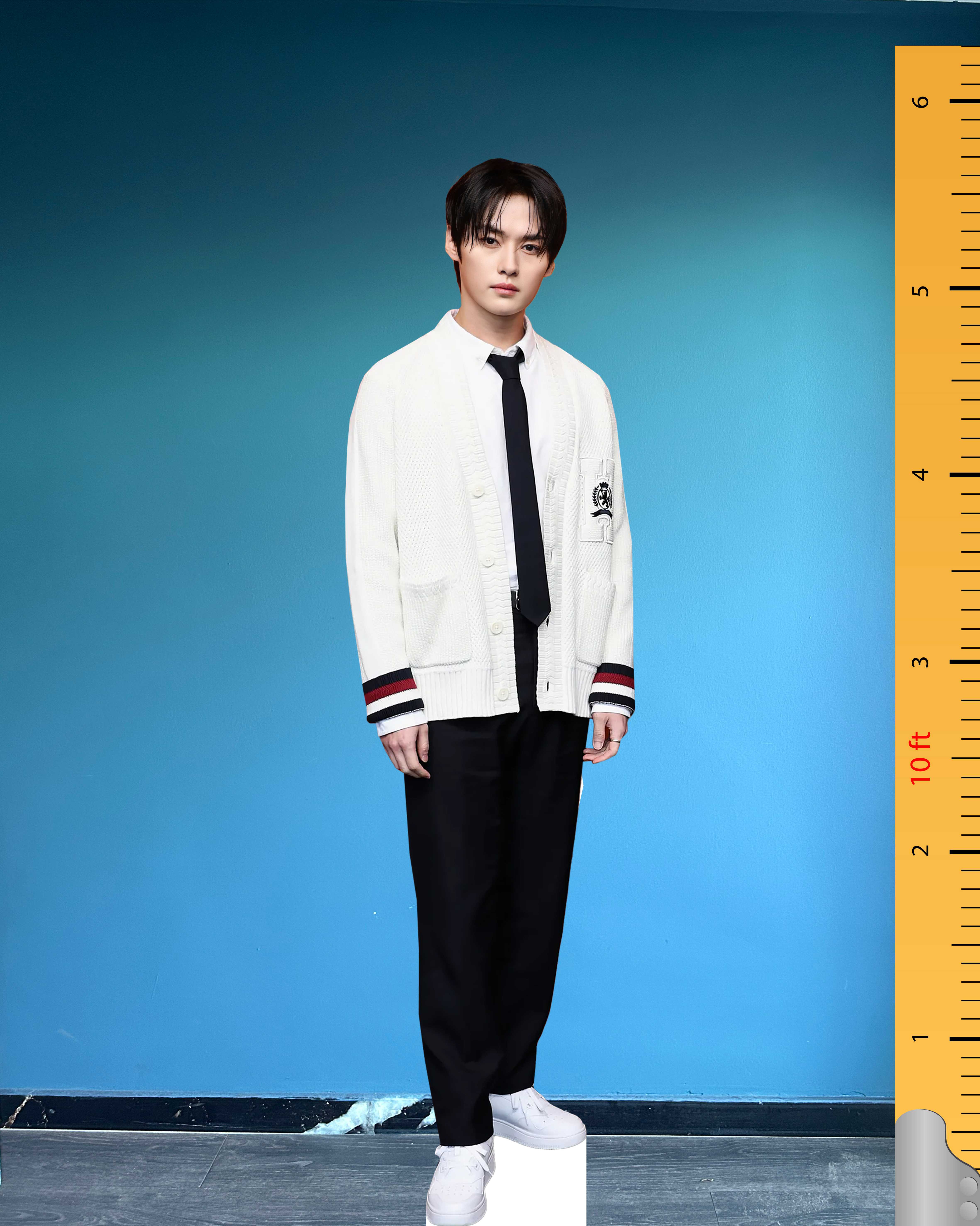 ⭐ Lee Know Kartonnen Standbeeld – Tommy Hilfiger Edition | Stray Kids ...