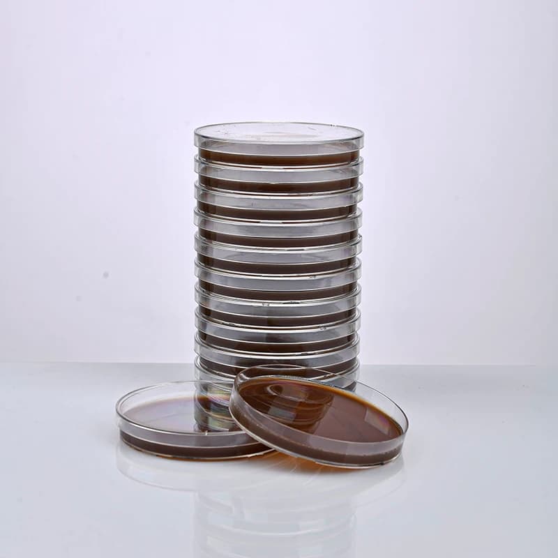 HAZIR CHOCALATE (ÇİKOLATA ) BESİYERİ