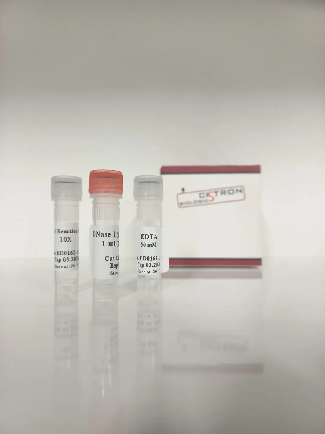Aria Biotechnology-DNase I