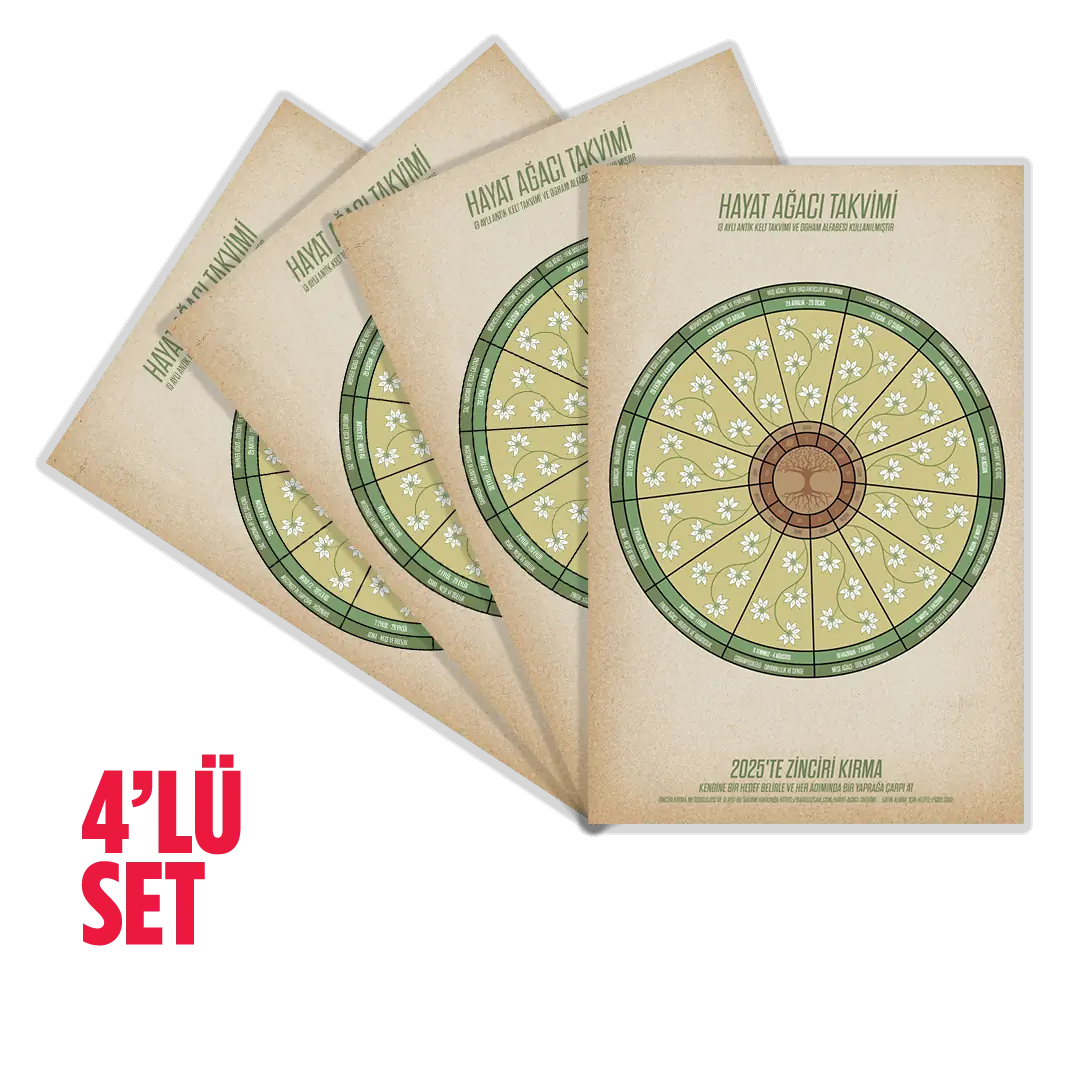 2025'İN ZİNCİRİ KIRMA POSTERİ