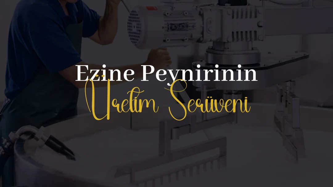 Ezine Peynirini Üretim Serüveni