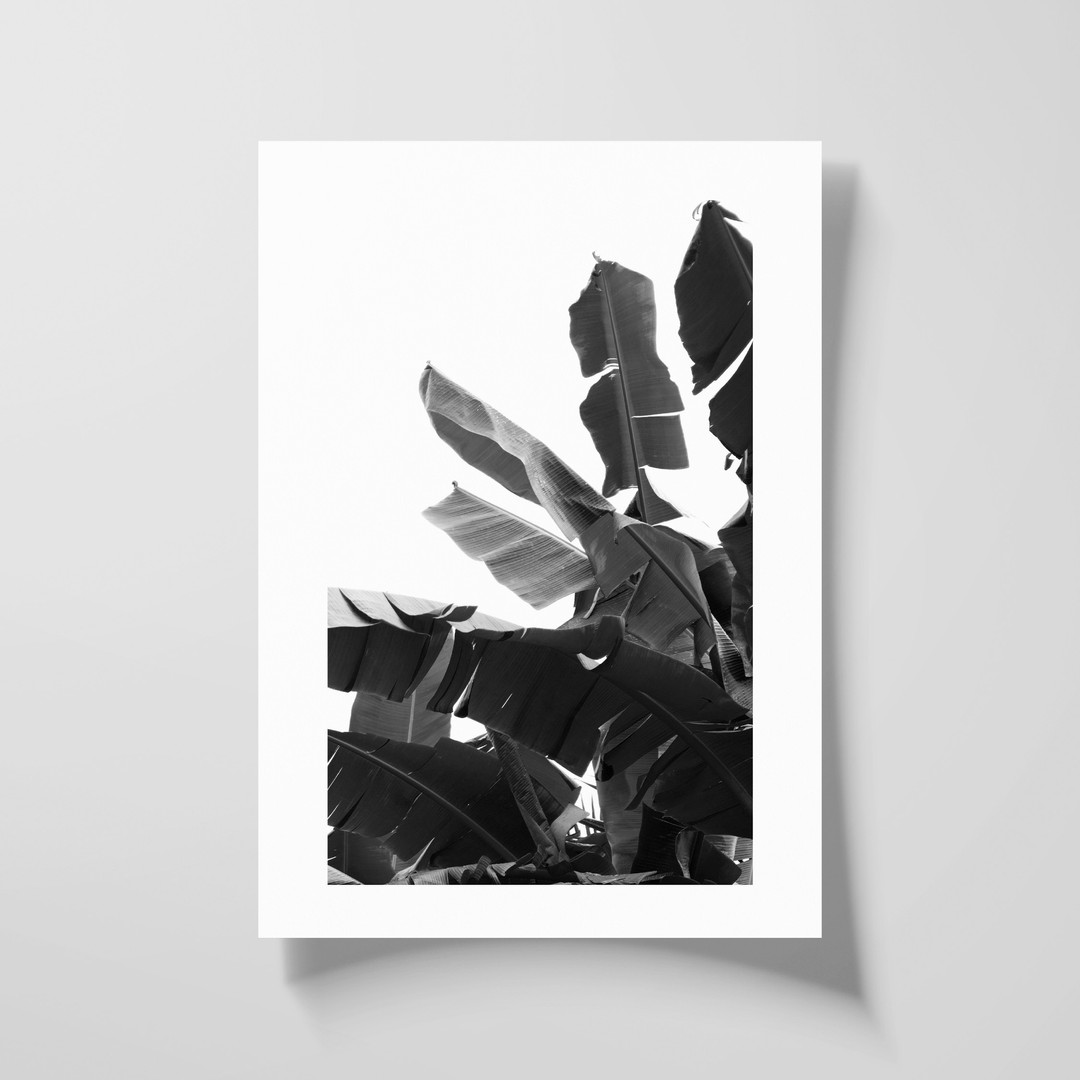 Banana Tree Çerçevesiz Poster Banana Tree Çerçevesiz Poster