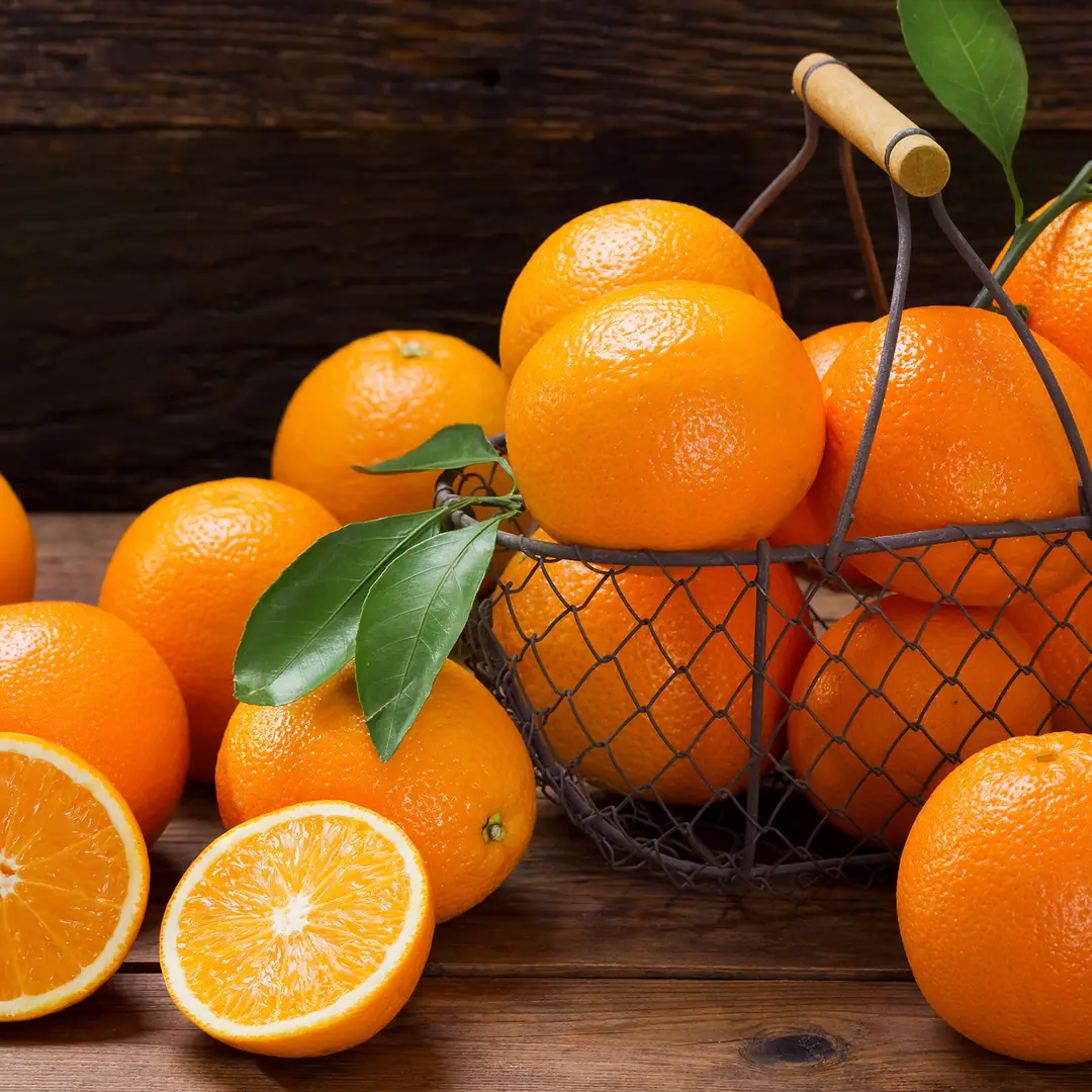 Finike Washington Taze Portakal Kg