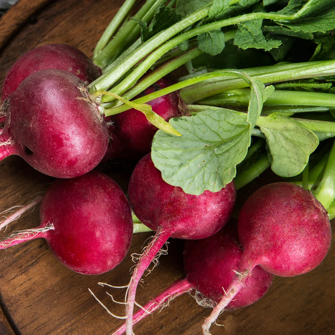 Kırmızı Turp 1 Kg