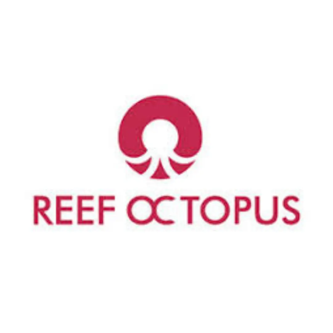 Reef Octopus
