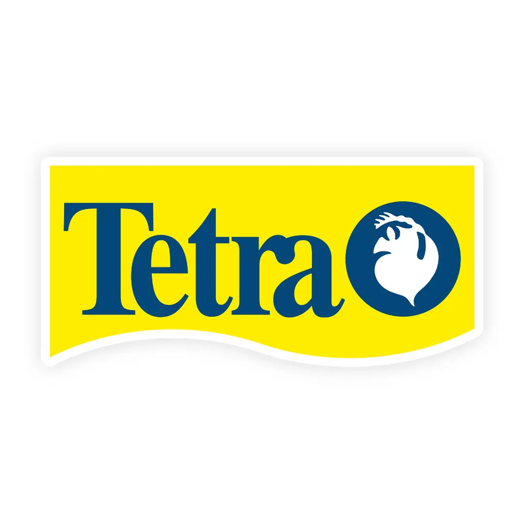 tetra