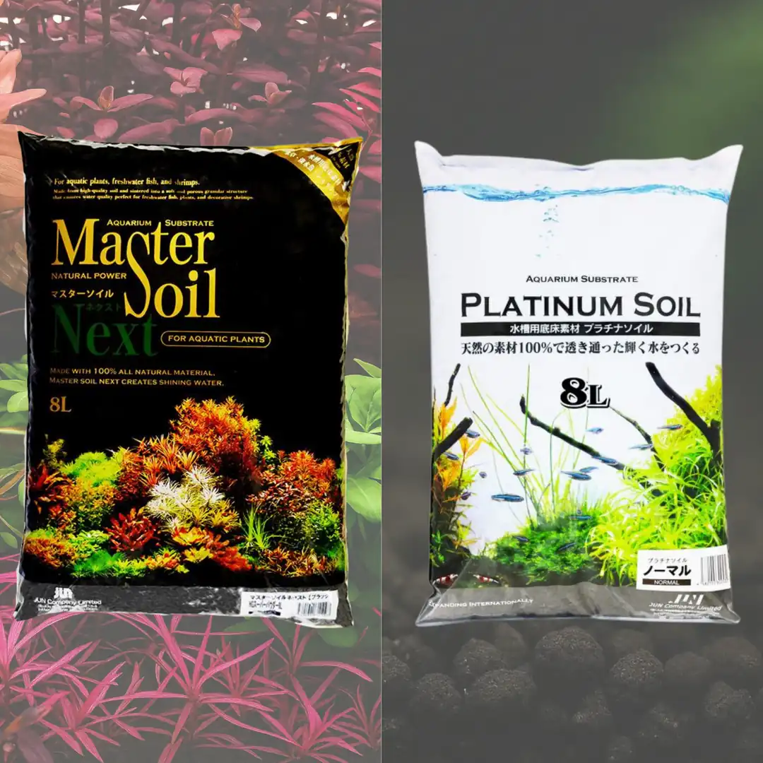Jun Master Soil Next ve Platinum Soil Rehberi