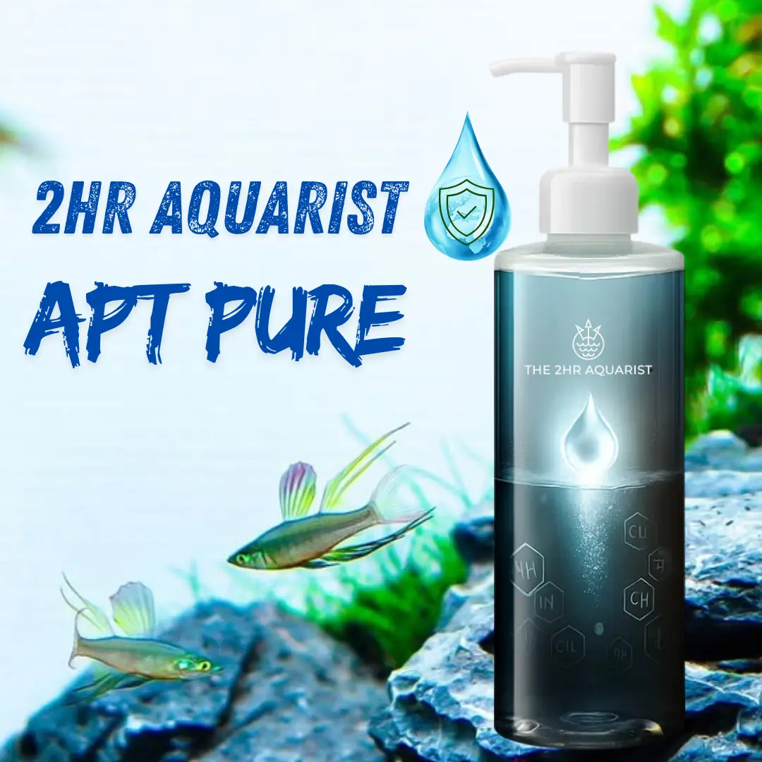 APT Pure: Su Güvenliğini Baştan Tanımlayan Akvaryum Düzenleyici