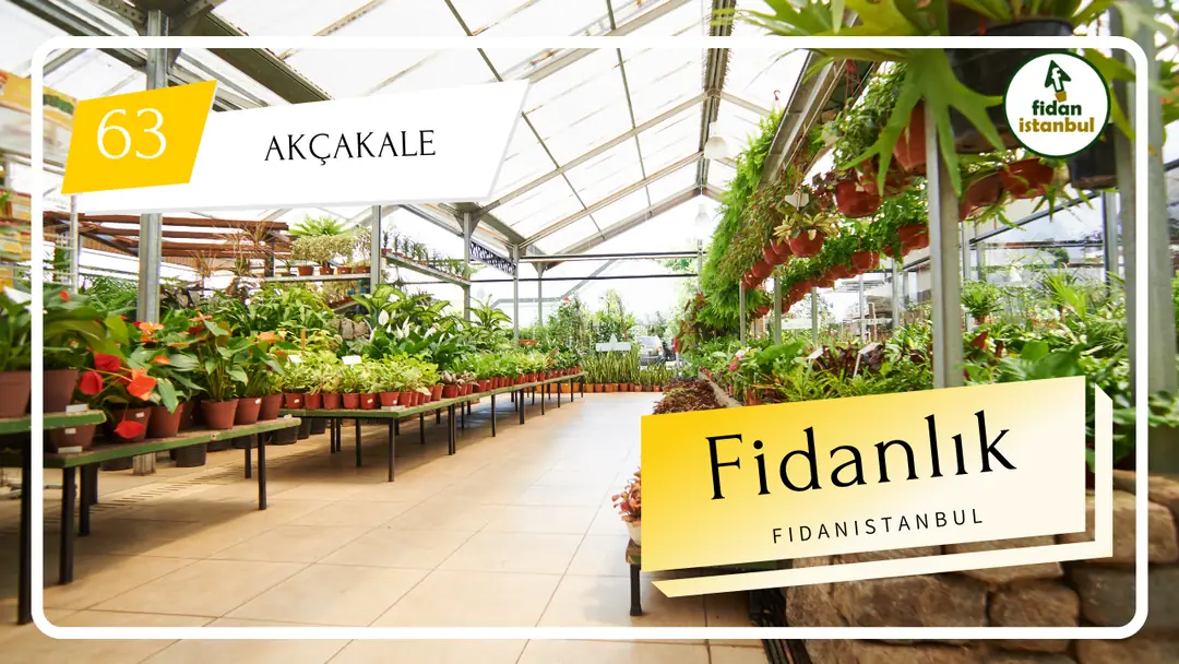 Akçakale Fidancılık