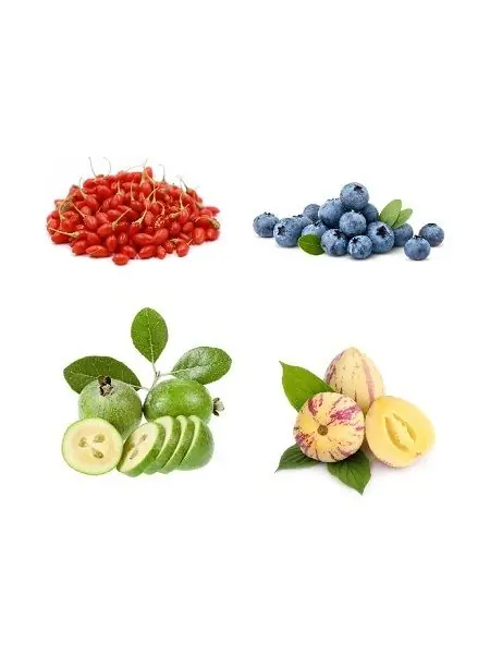 Feijoa - Pepino - Likapa - Goji Berry Fidan Paket Kampanyası ...