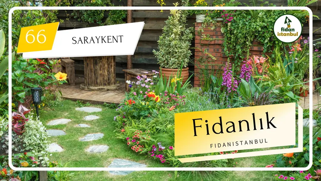 Saraykent Fidancılık