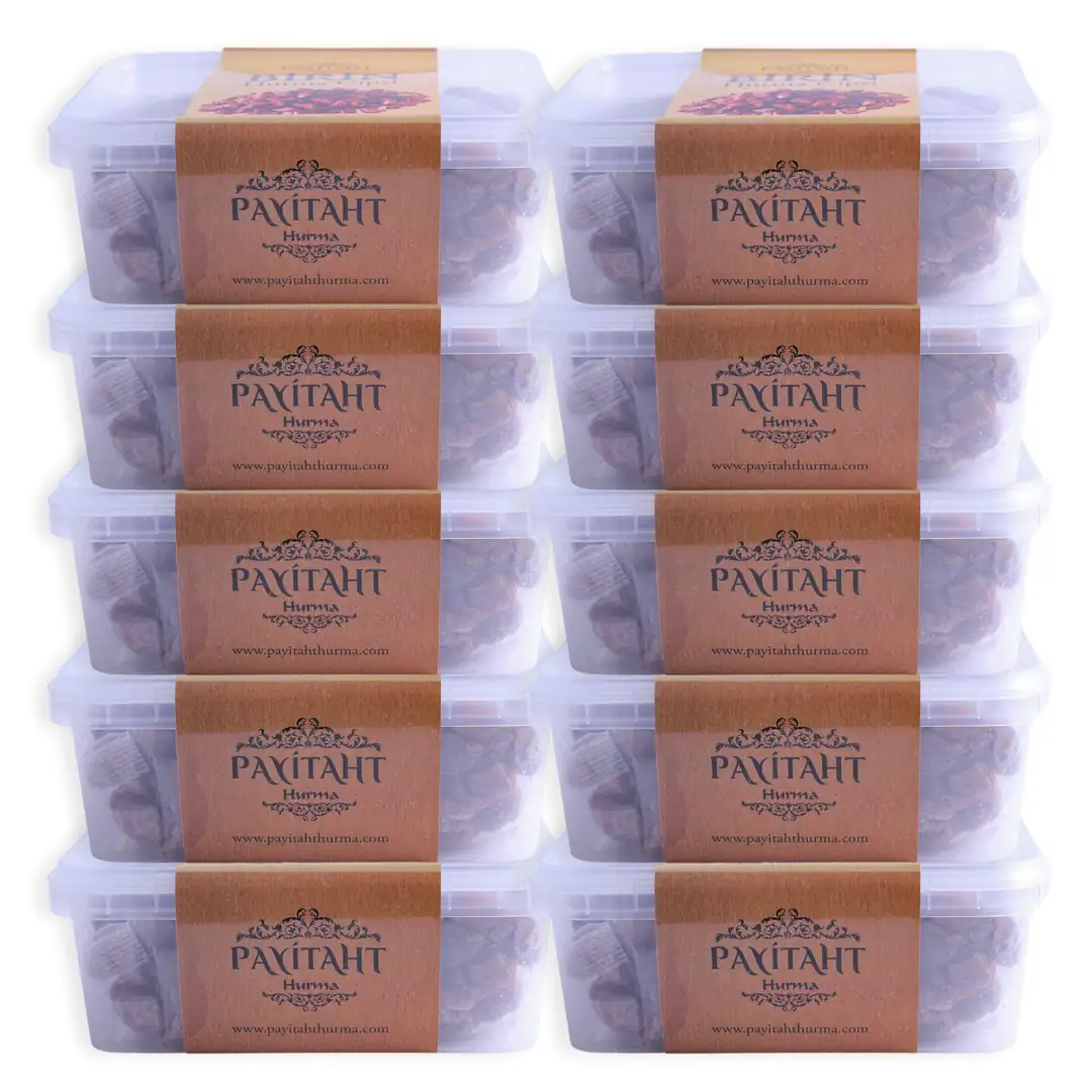PAYITAHT Snack Date Chips Unsweetened 500g 10-Pack
