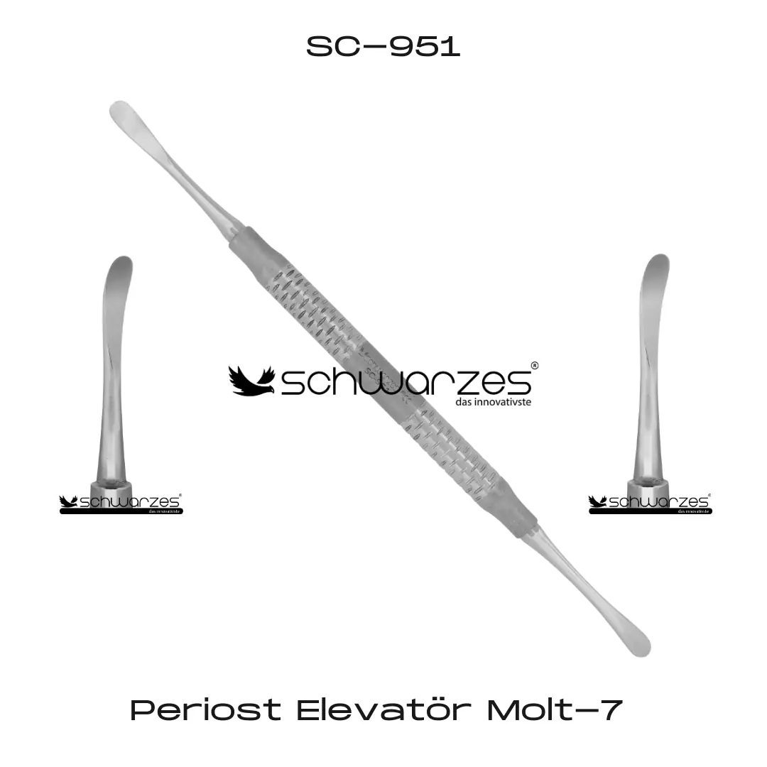 Periost Elevatör Molt-7