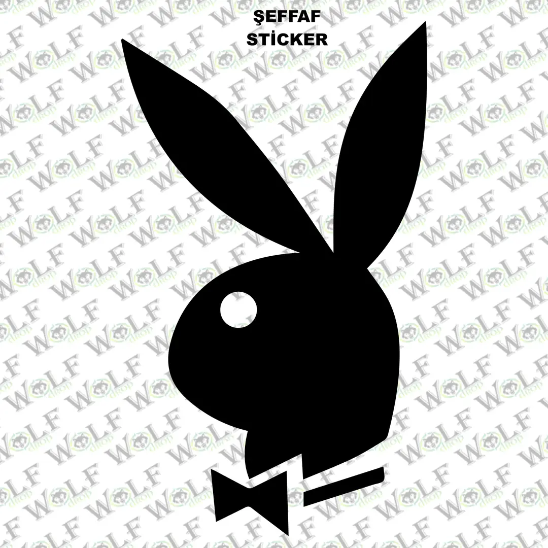 Tekli Şeffaf Sticker 027 - Araçlarınız İçin Şık ve Pratik Çözüm