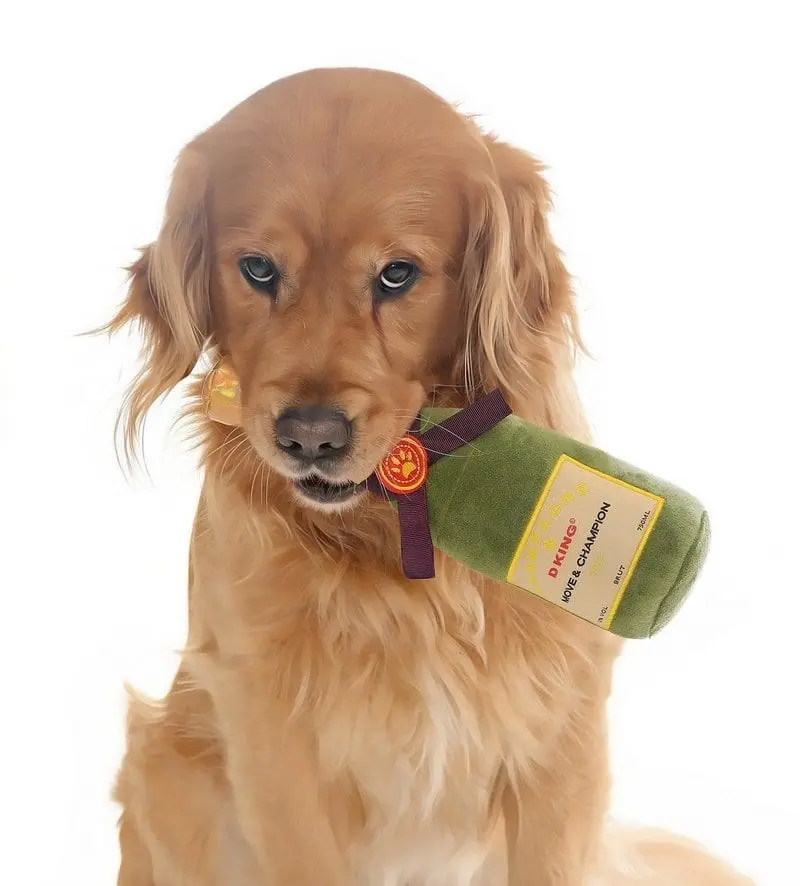 Şampanya Şişesi Köpek Oyuncak Champagne | Petza