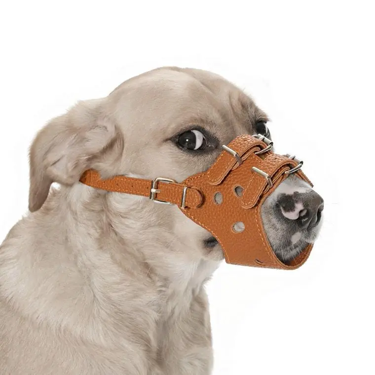 Muzzle Ayarlı Köpek Ağızlık | Petza
