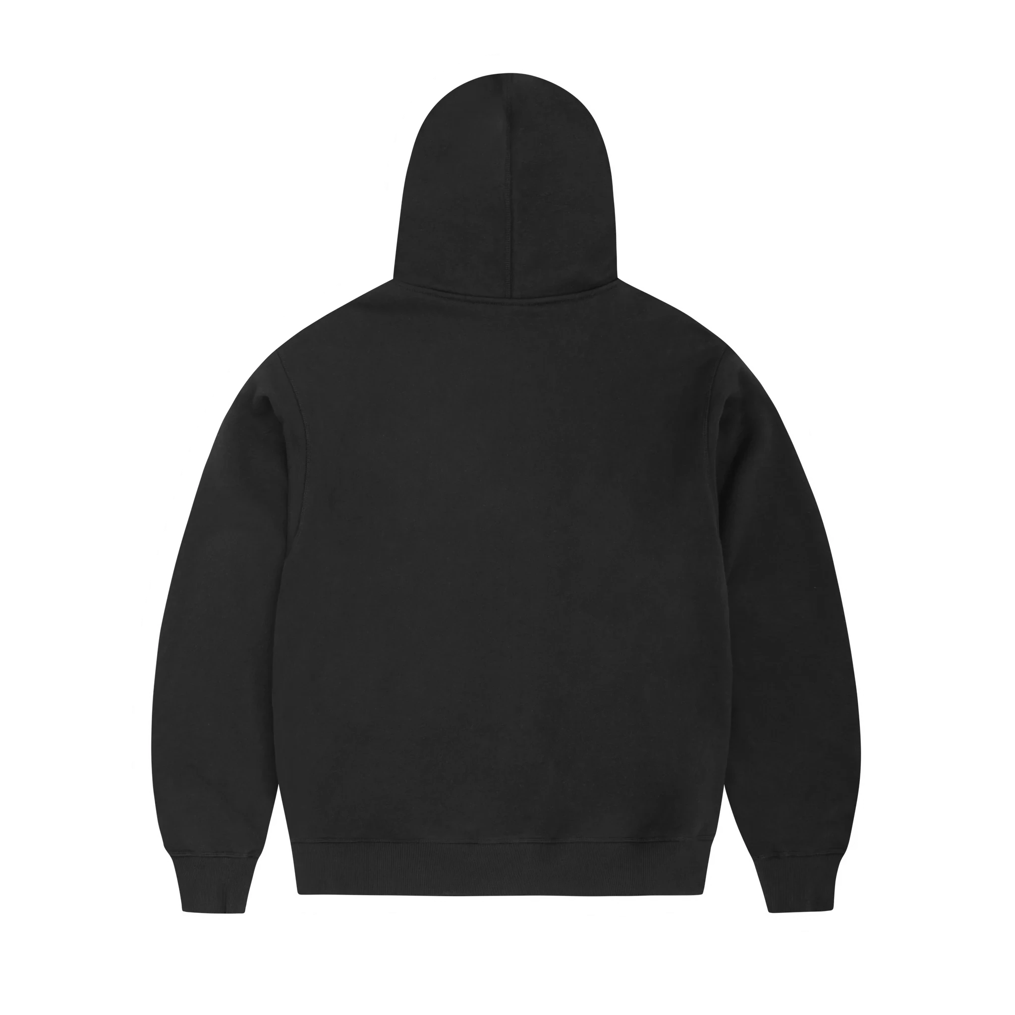 ARCH SHIELD ZIP HOODIE