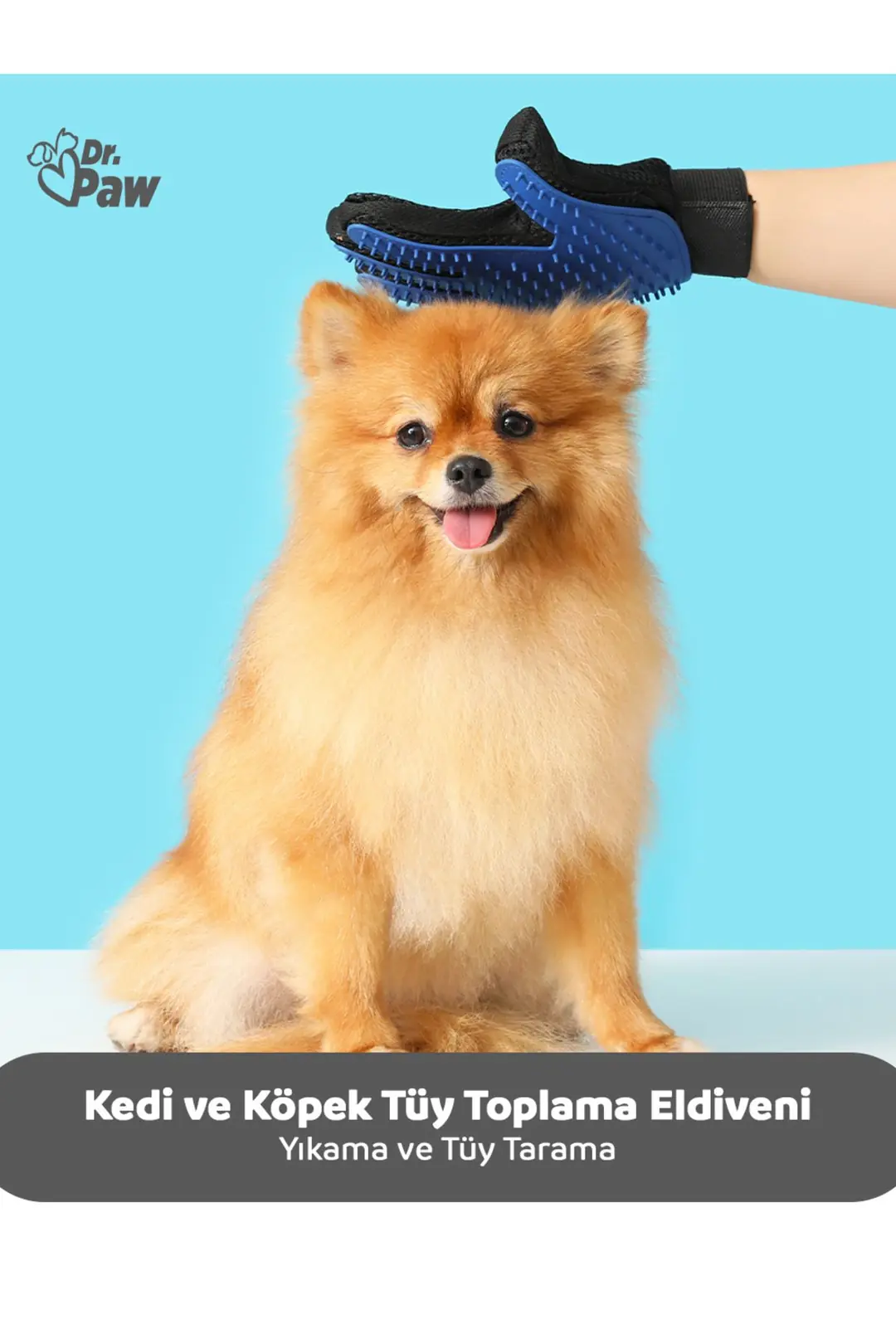 Evcil Hayvan Tüy Toplama Eldiveni