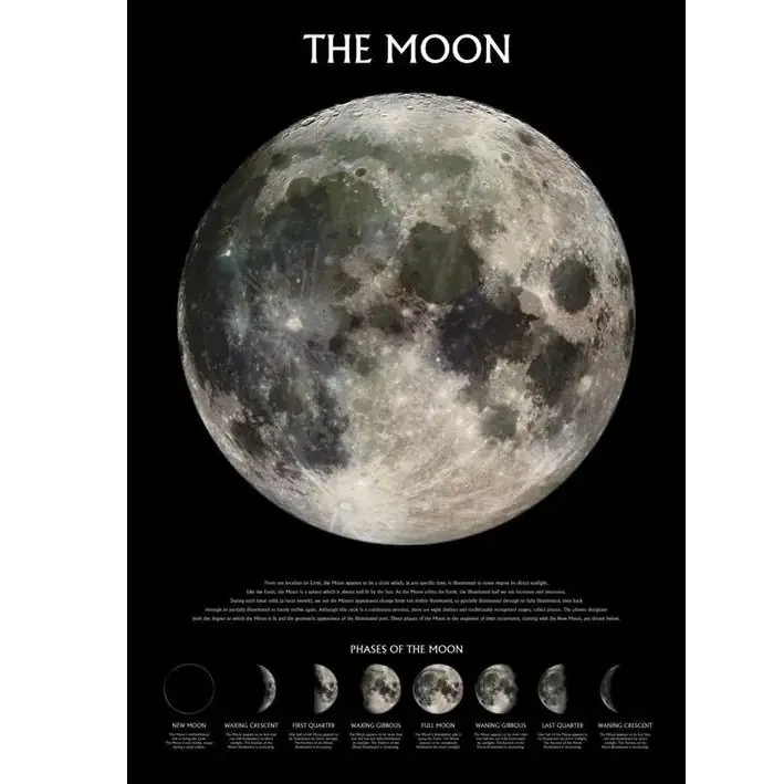 Maxi Poster The Moon Phases