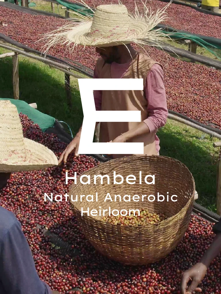 Kernel Coffee Roasters