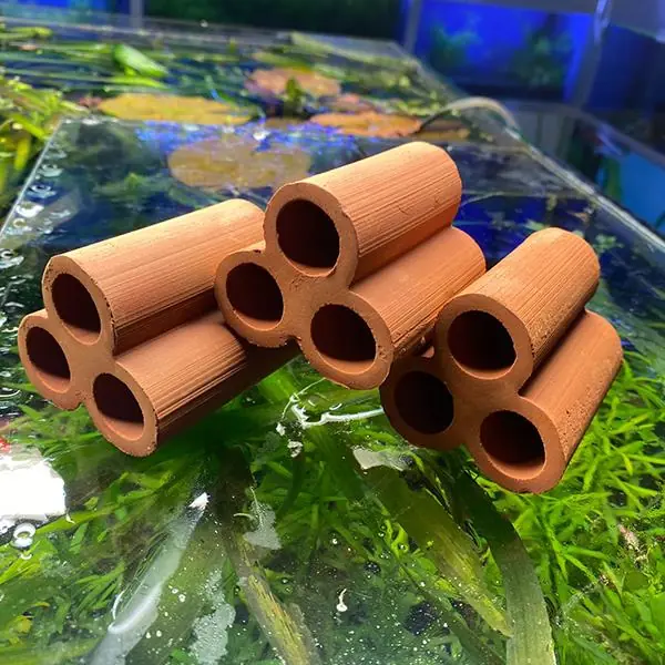 Kiremit Rengi Karides Saklanma Alanı 3lü Model