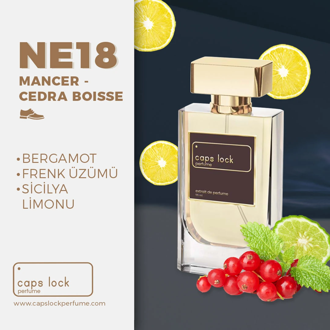 NE18 - CAPS LOCK Perfume (Cedrat Boise Muadili) 60 ml. ₺ 667.50