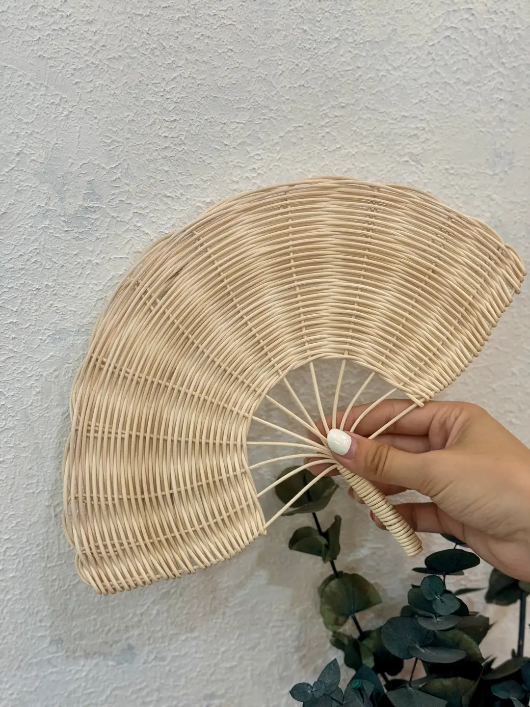 Rattan Wooden Hand-Wall Fan